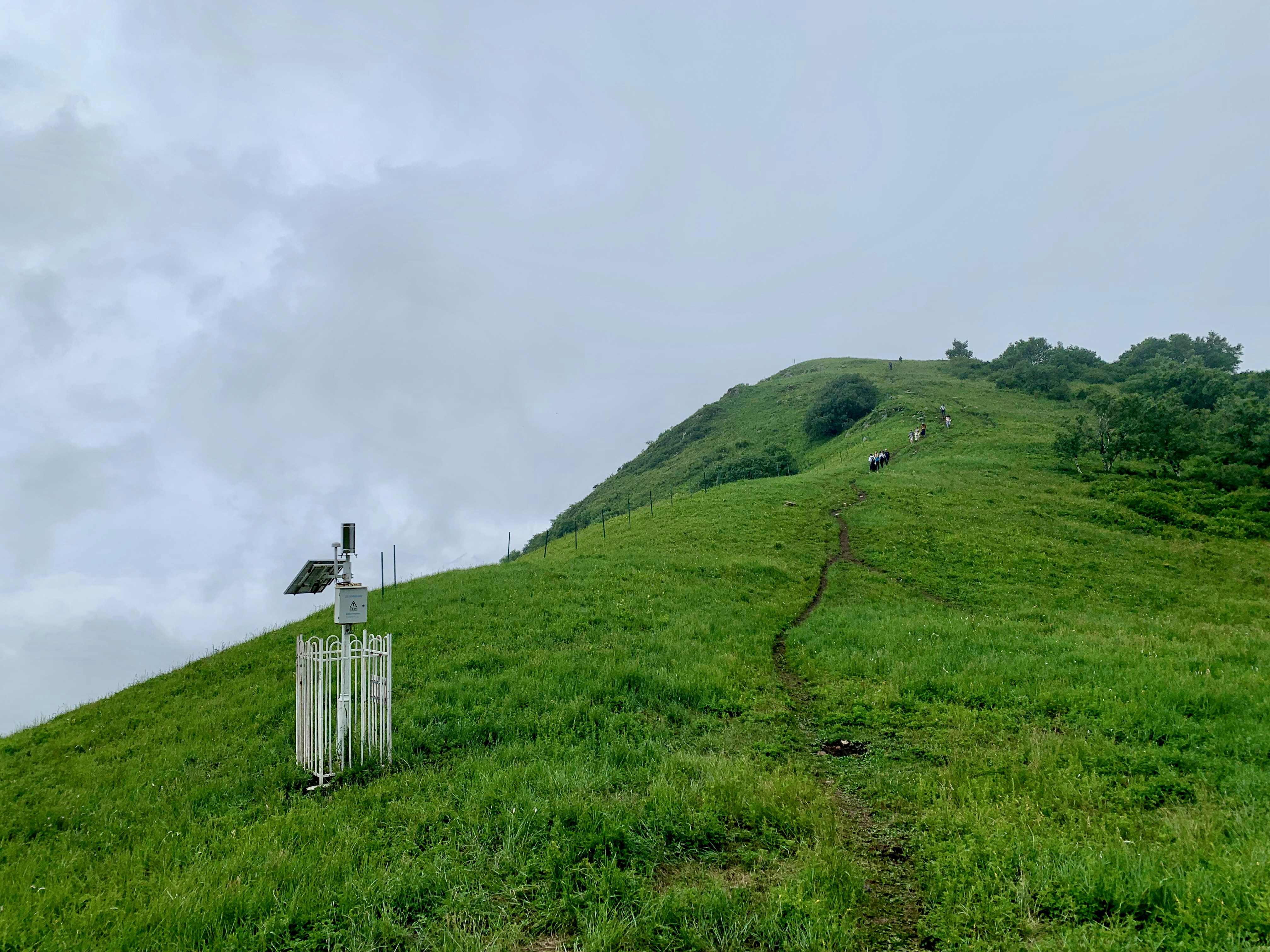 Ridgebound Ascent: A Green Trail Winding Toward a Distant Summit