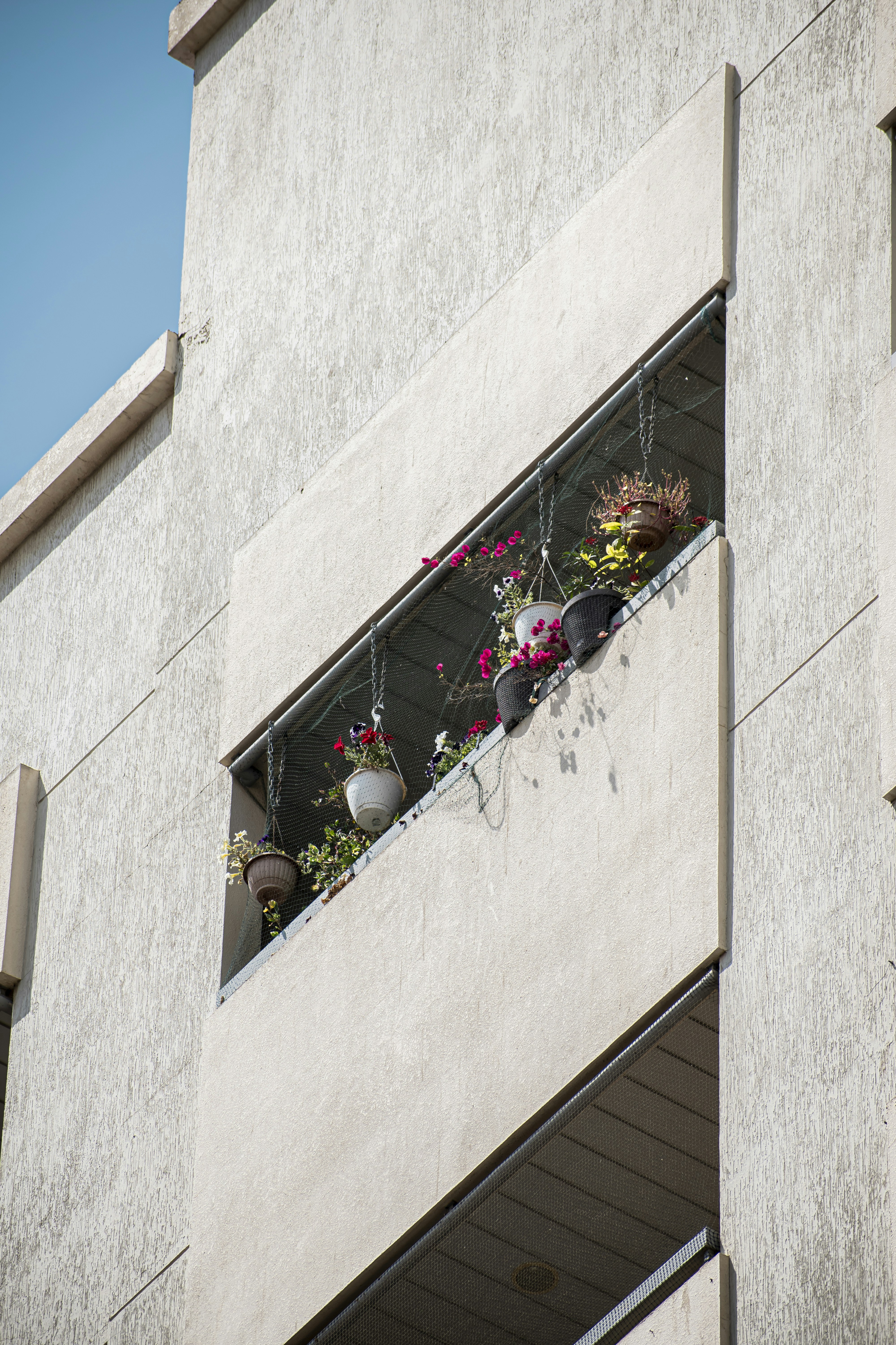 Balcony of Blooms: Concrete Facade Framed by Colorful Pots