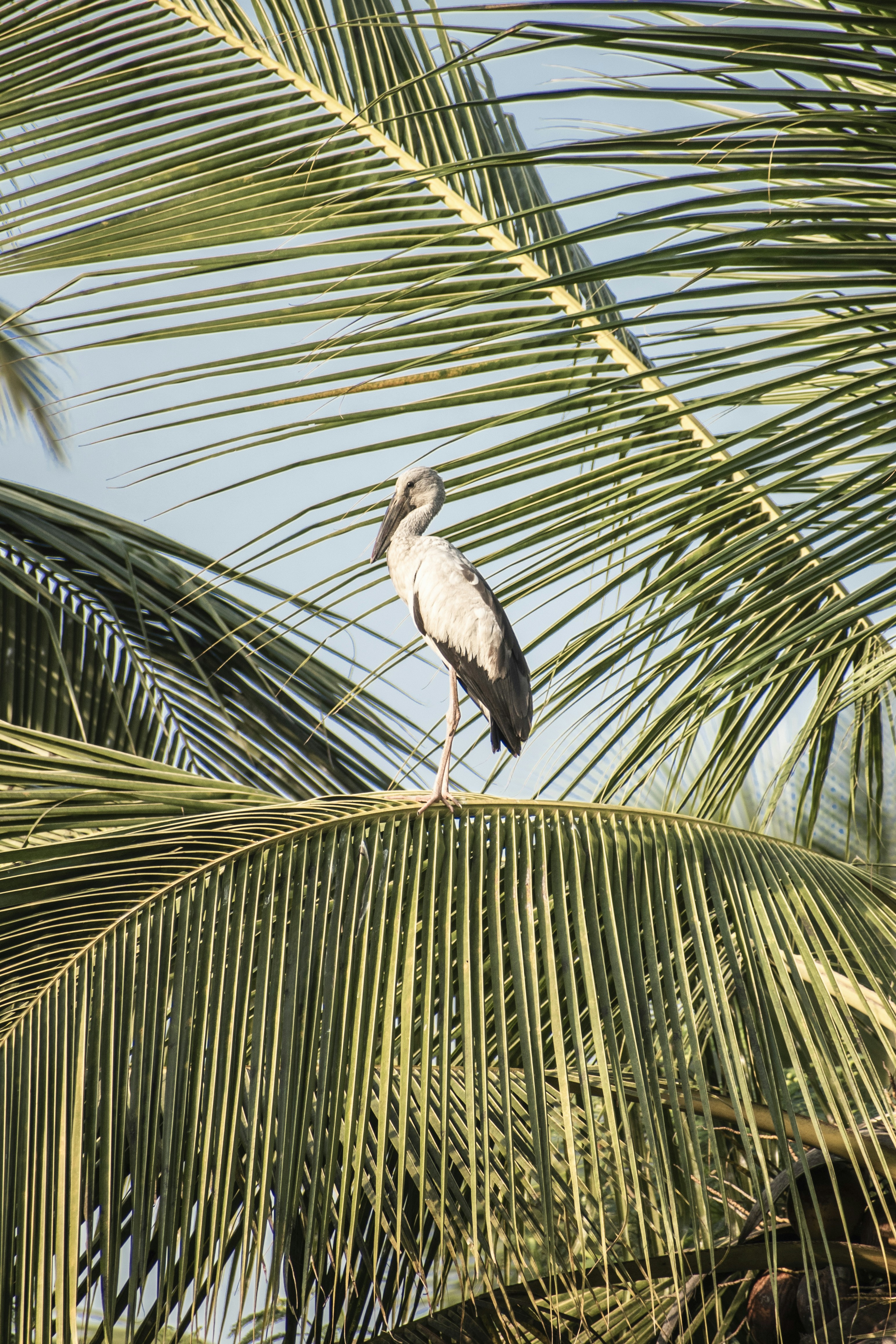 Photo by aboodi vesakaran with Nikon D5600