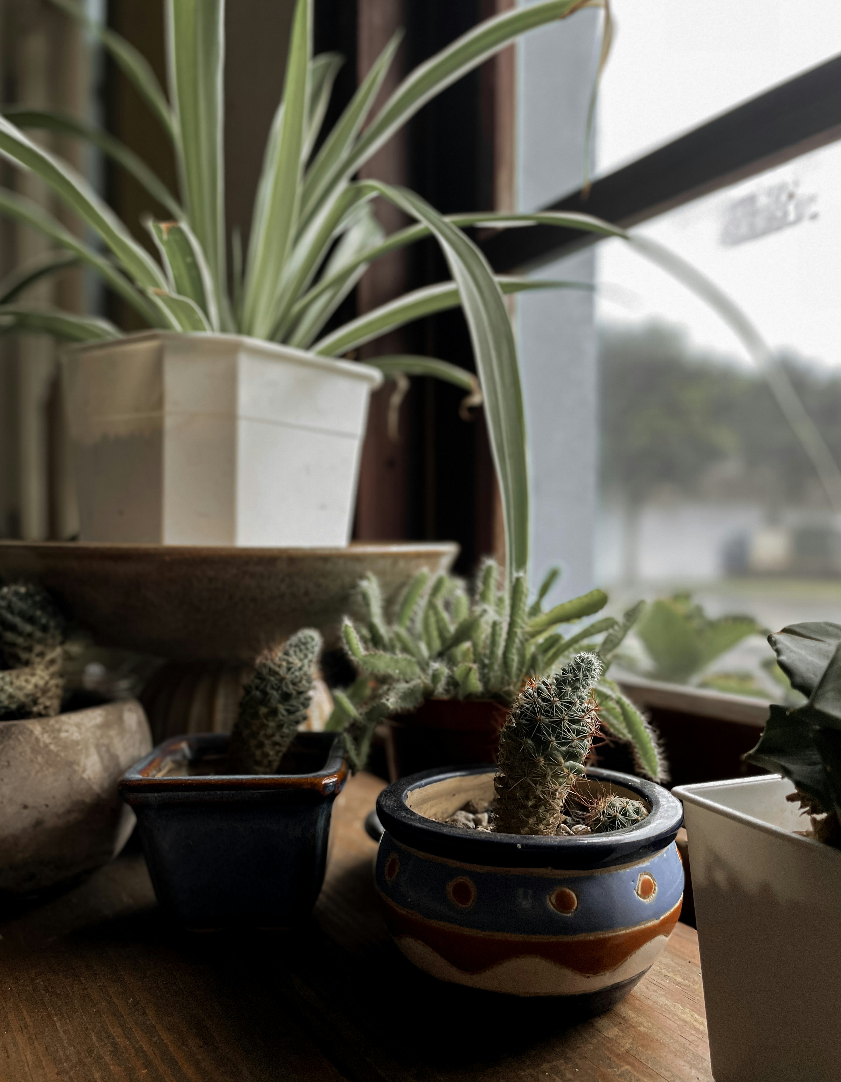 chen yanhui (@chenyanhui) | Komunitas Foto Unsplash