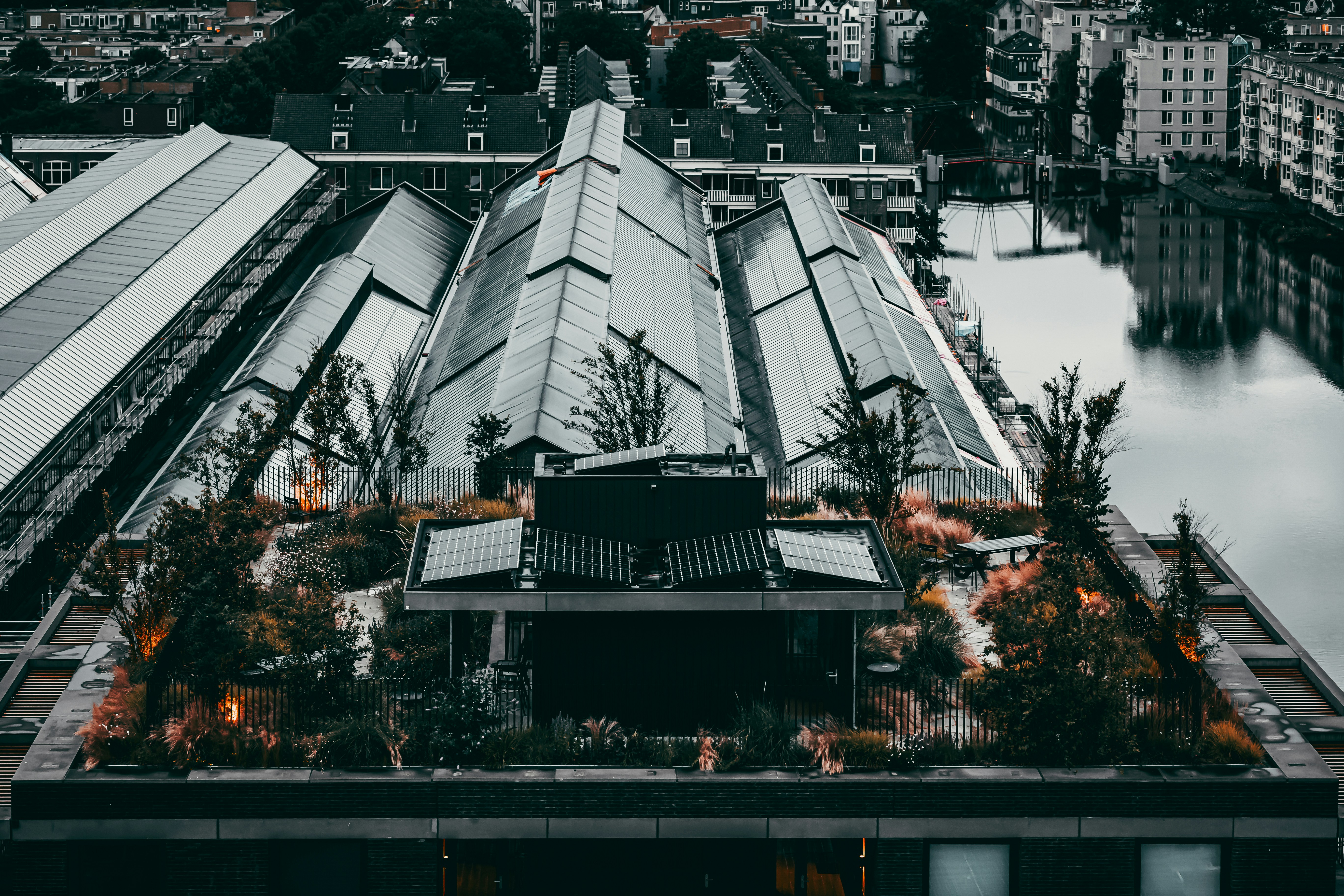 Photo by Peyman Shojaei with Canon EOS R6