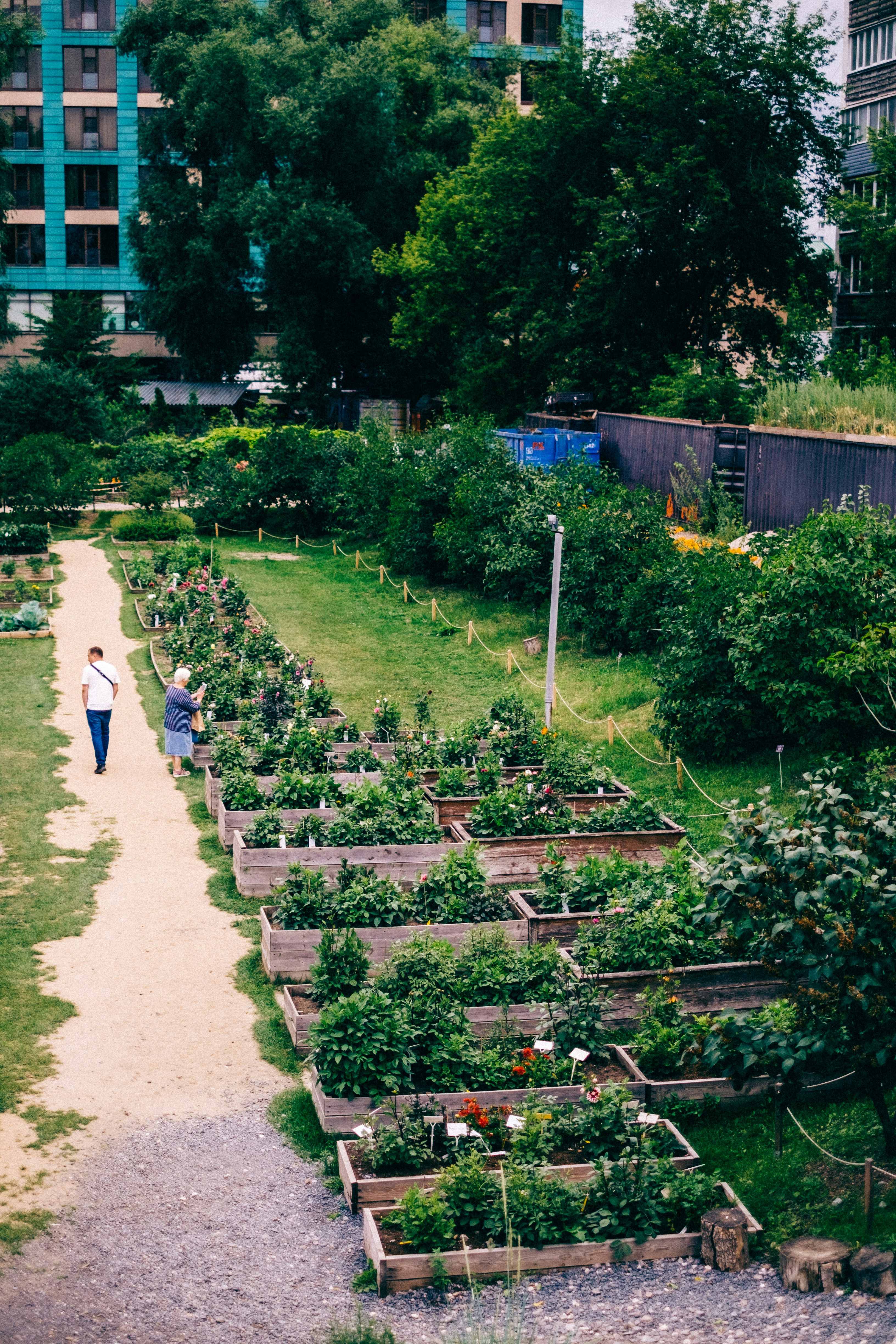 Garden Pathway: Two Figures Wander Among Raised Beds Under a Cityful Sky