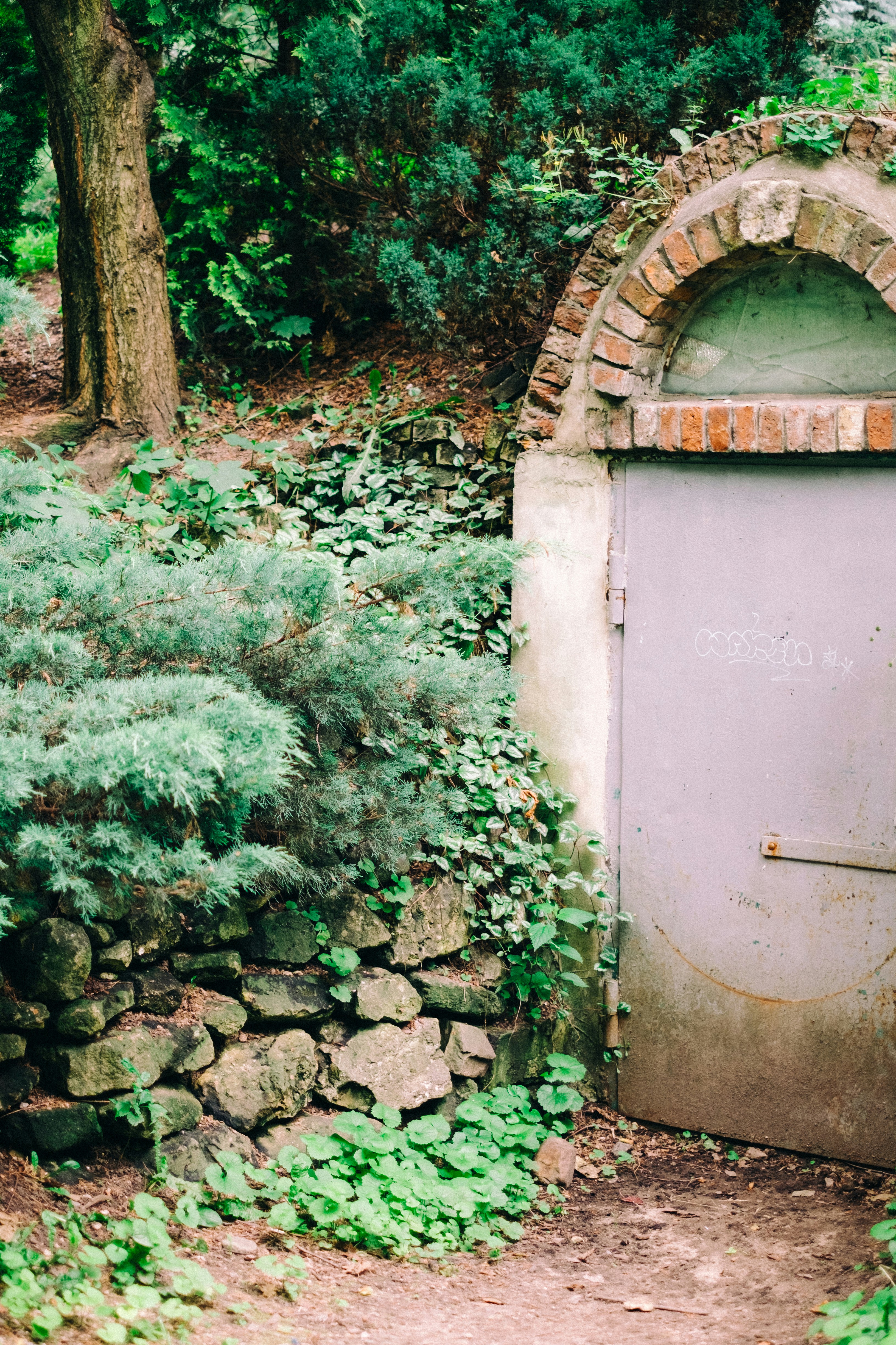 A Weathered Door among Greenery and Stone