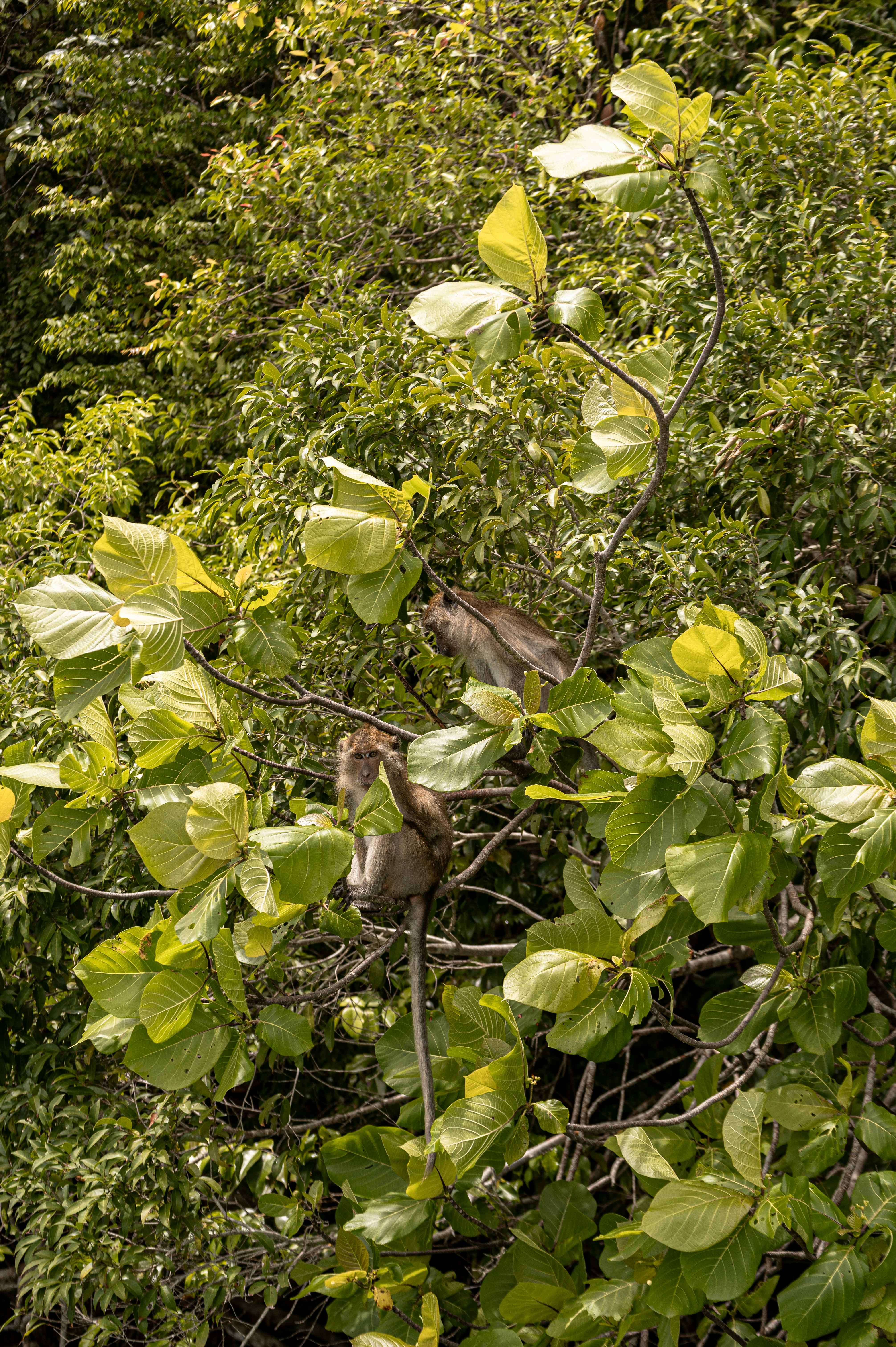 Photo by Giulio Fabi with Nikon Z6
