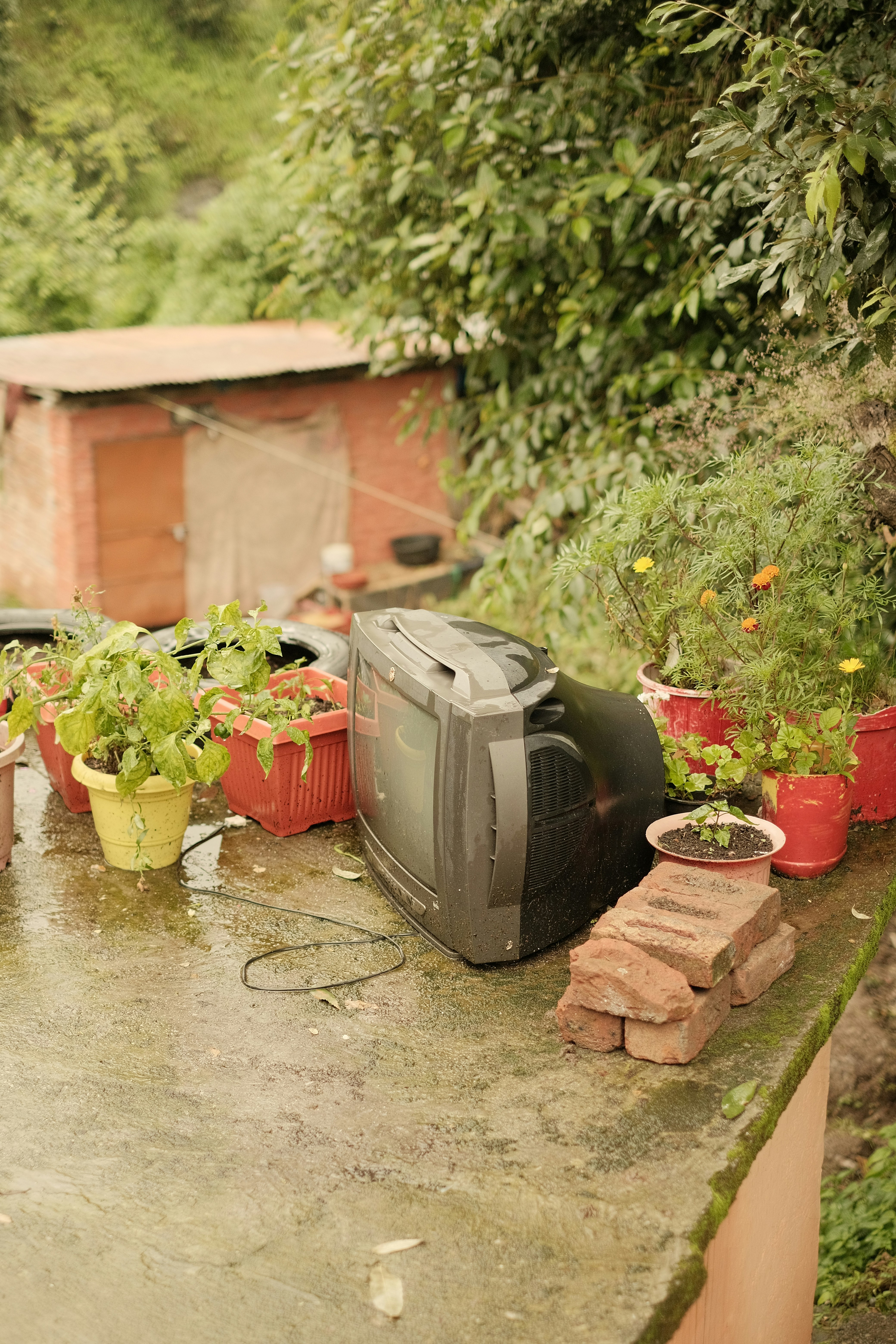 Retro Console on a Mossy Terrace, Framed by Potted Garden