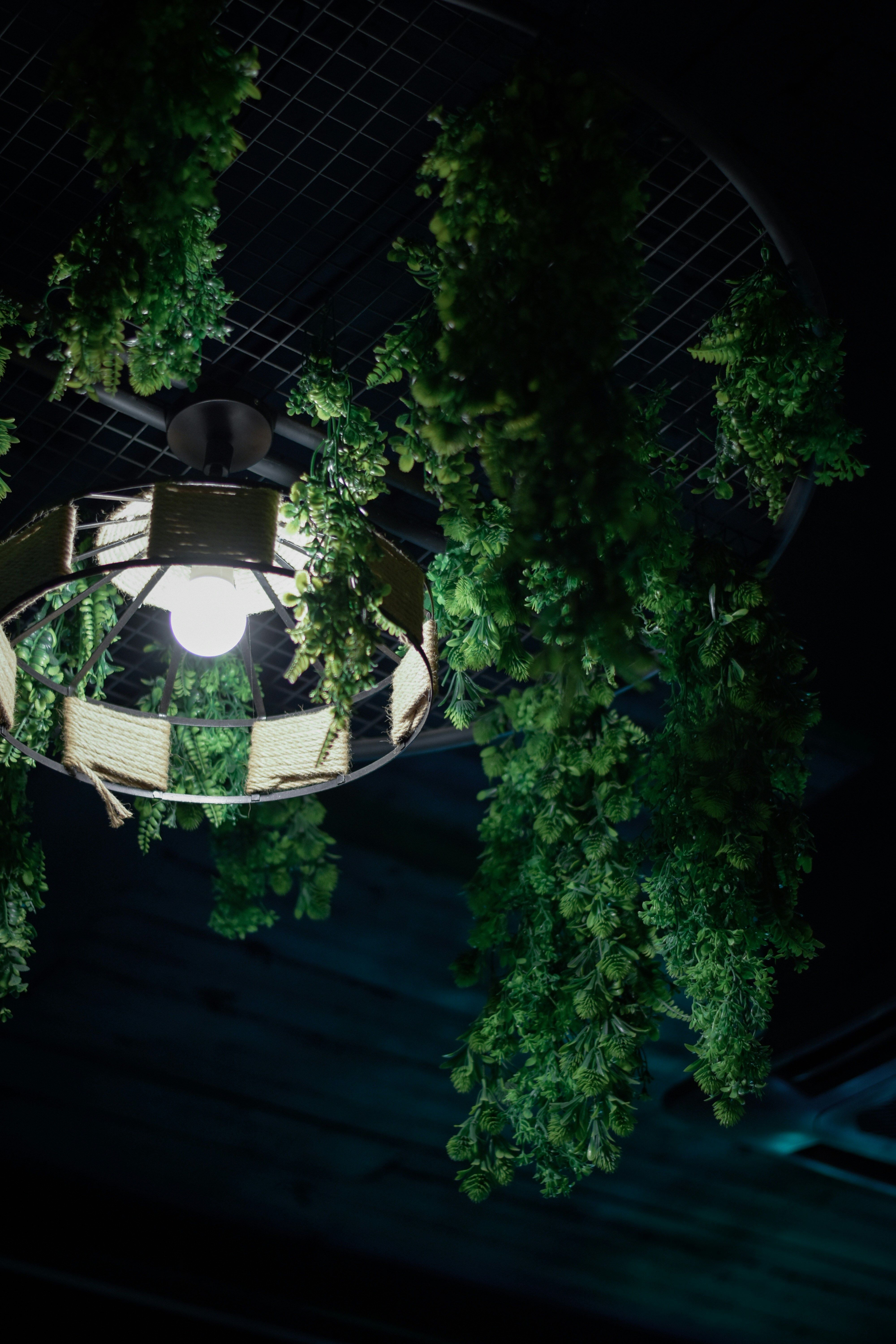 Overhead Lanterns: Green Vines Framing a Softly Lit Fixture