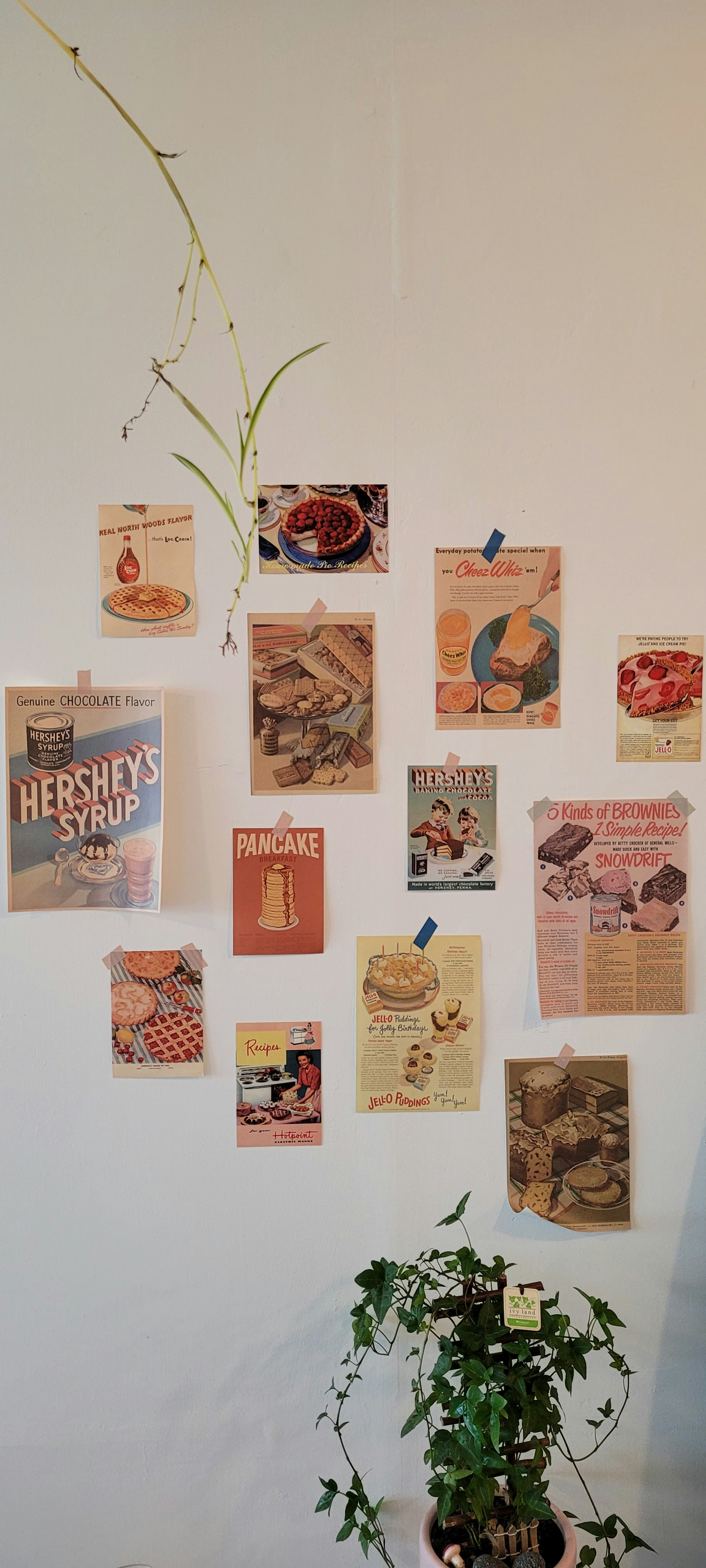 Wall Posters Pictures | Download Free Images on Unsplash