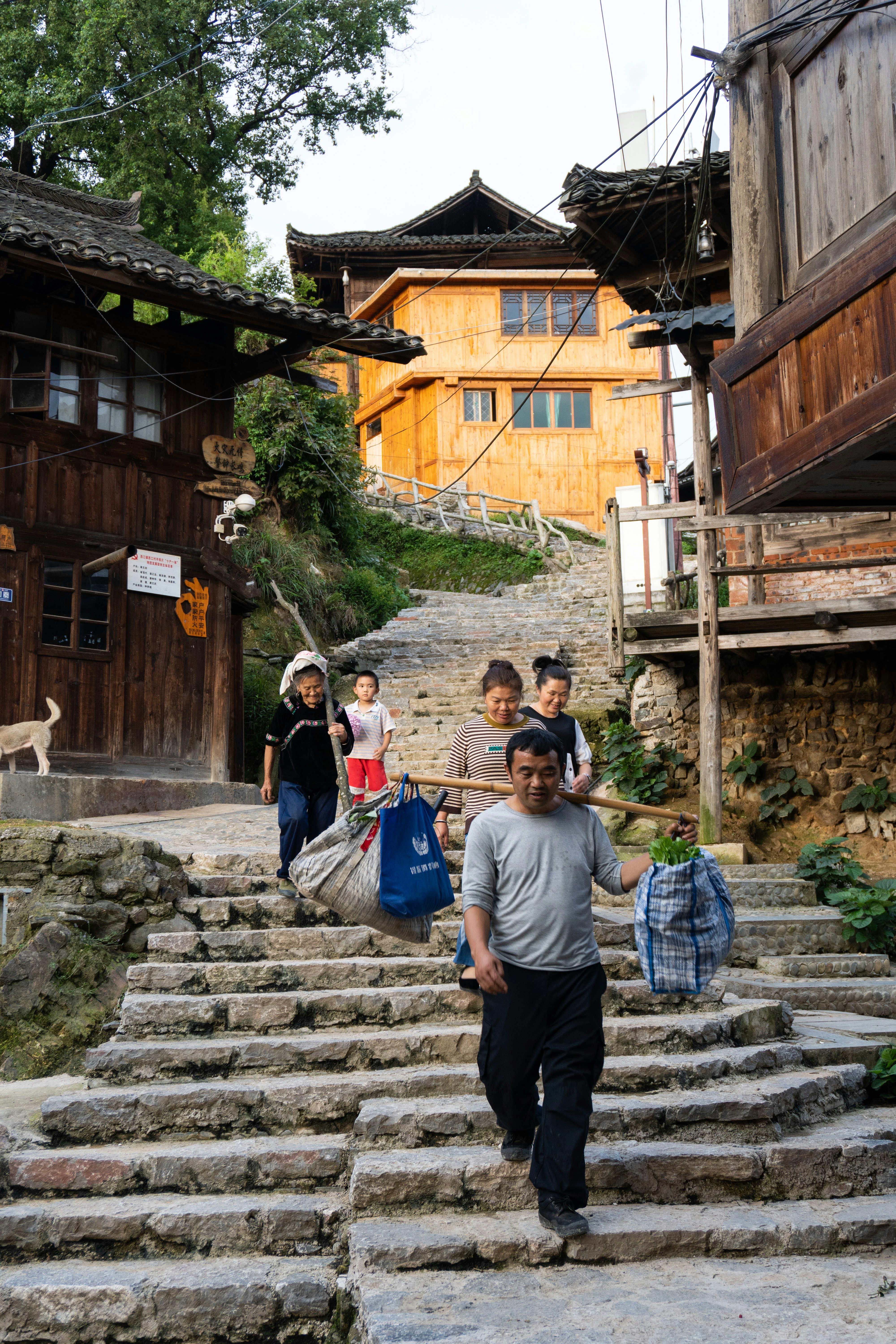 A group of people walking up some steps photo – Free Woman Image on ...