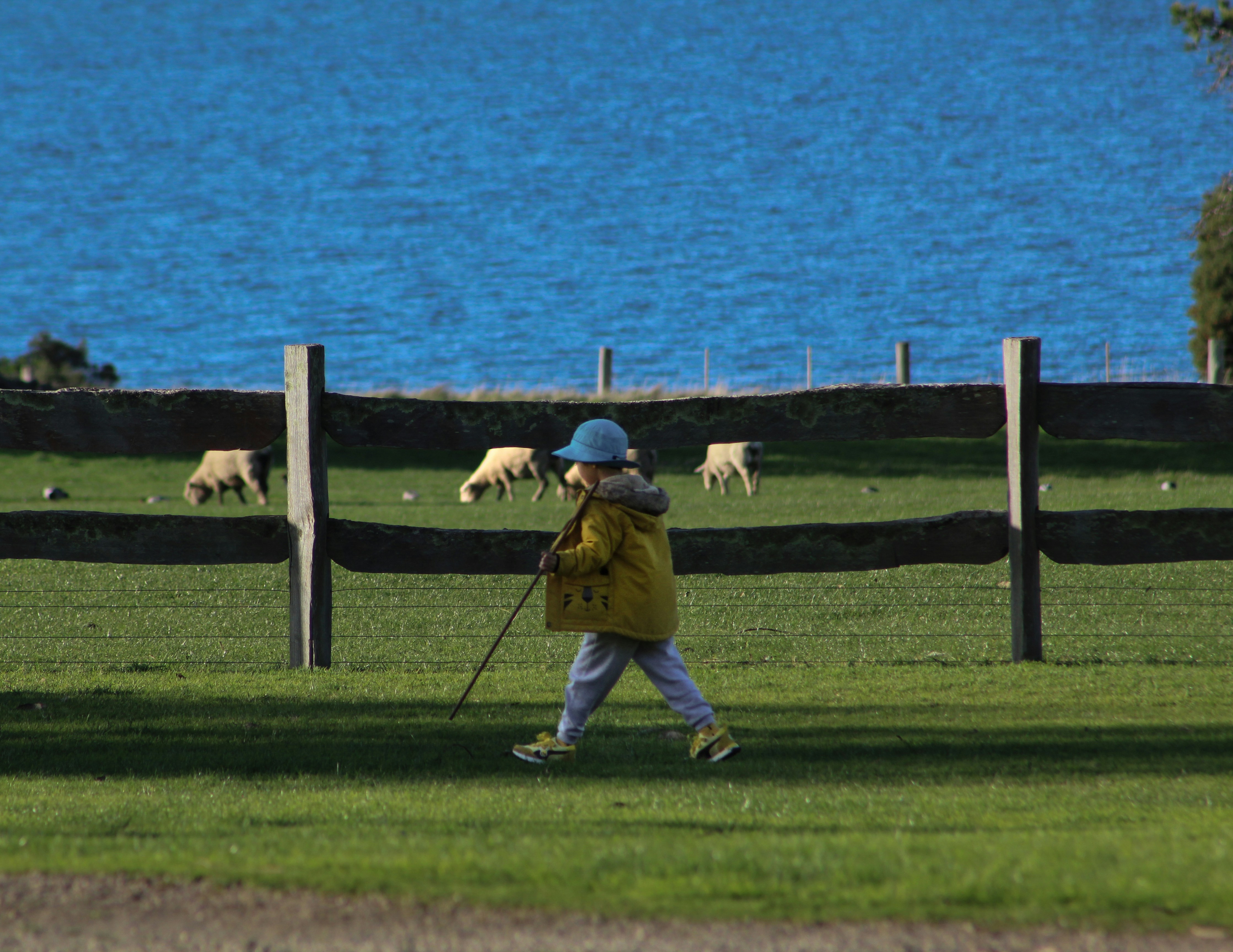 Tripod-Toting Child Traverses a Sunlit Park by the Fenced Lakeside