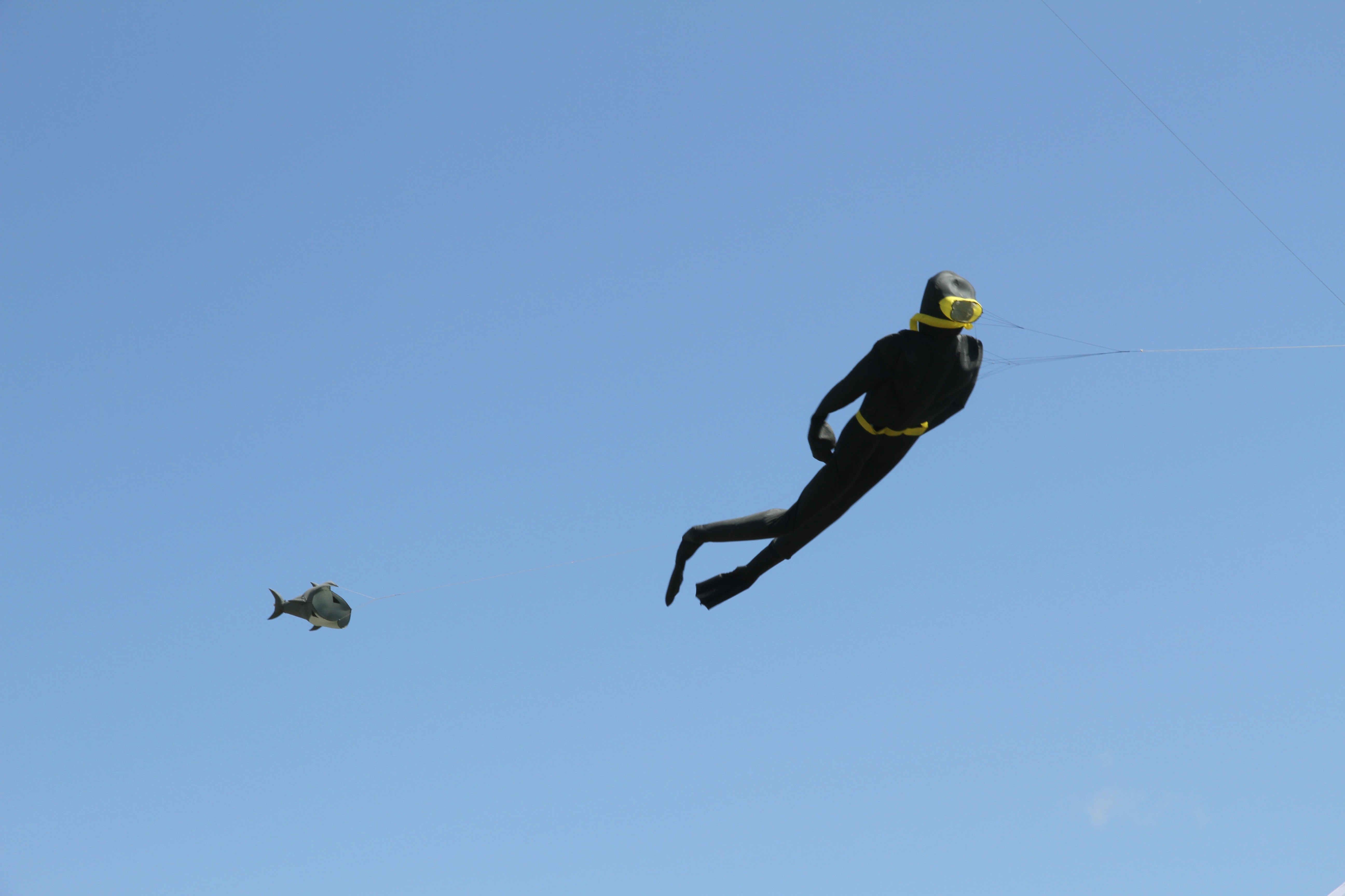 A man in a wet suit is flying a kite photo – Free Diver Image on Unsplash