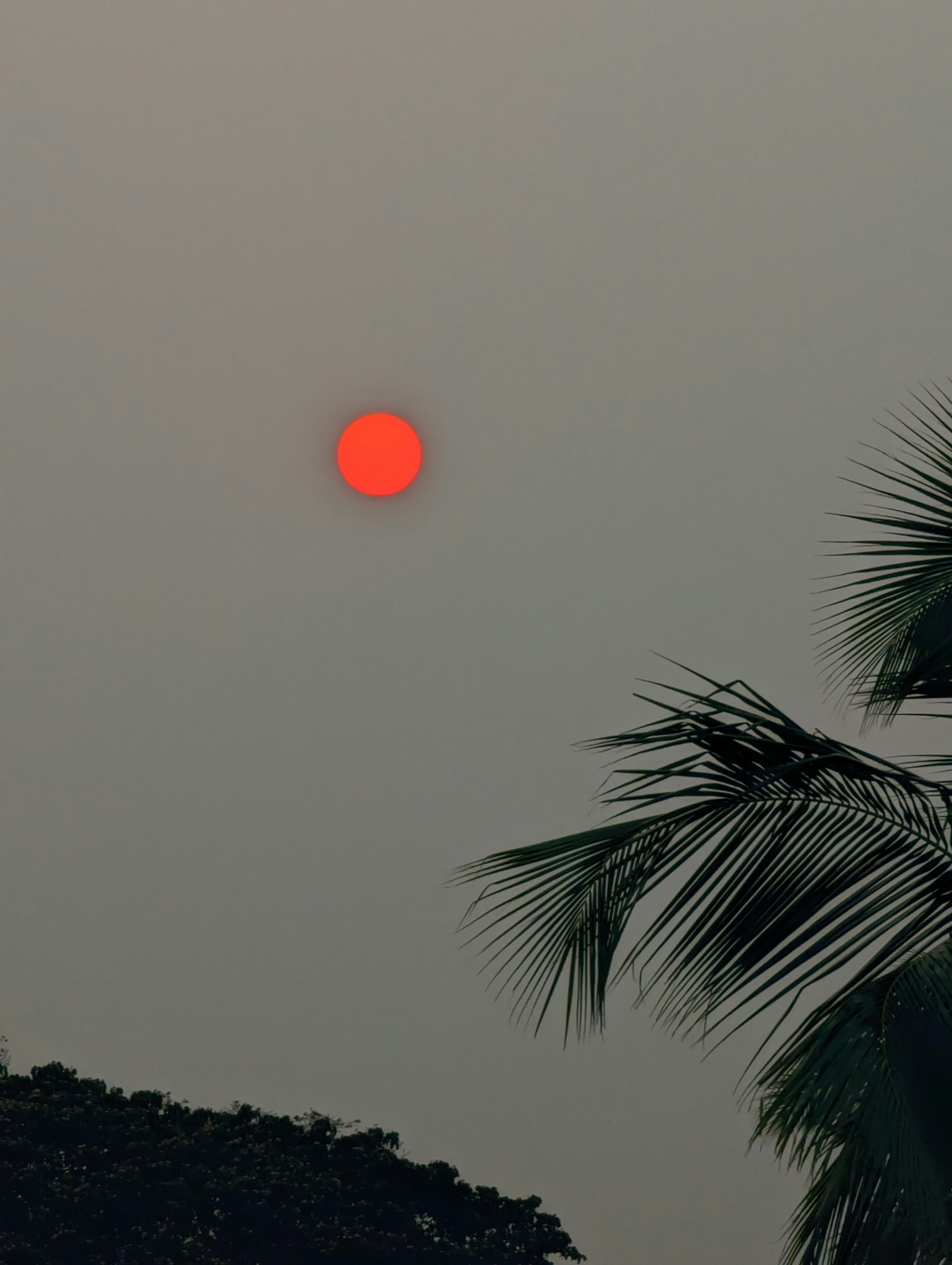 A red sun setting. I was just having a good walk on the terrace of my resident building and saw this beautiful red sun. I love it when nature give us such un-earthy other world vibes. No filters were applied, I swear.