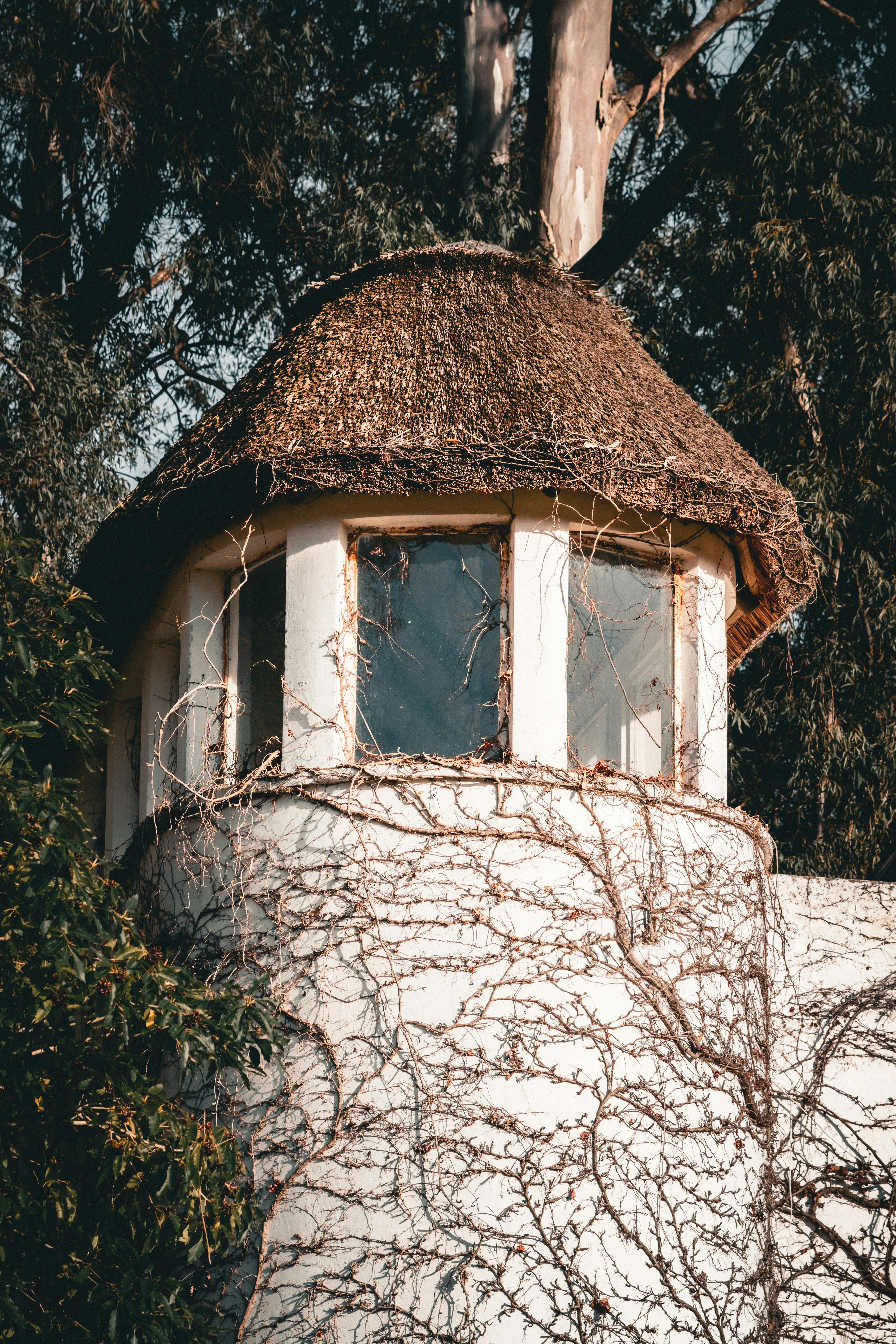 Thatched Turret Under Ivy: A White-Walled Nook in Dappled Light