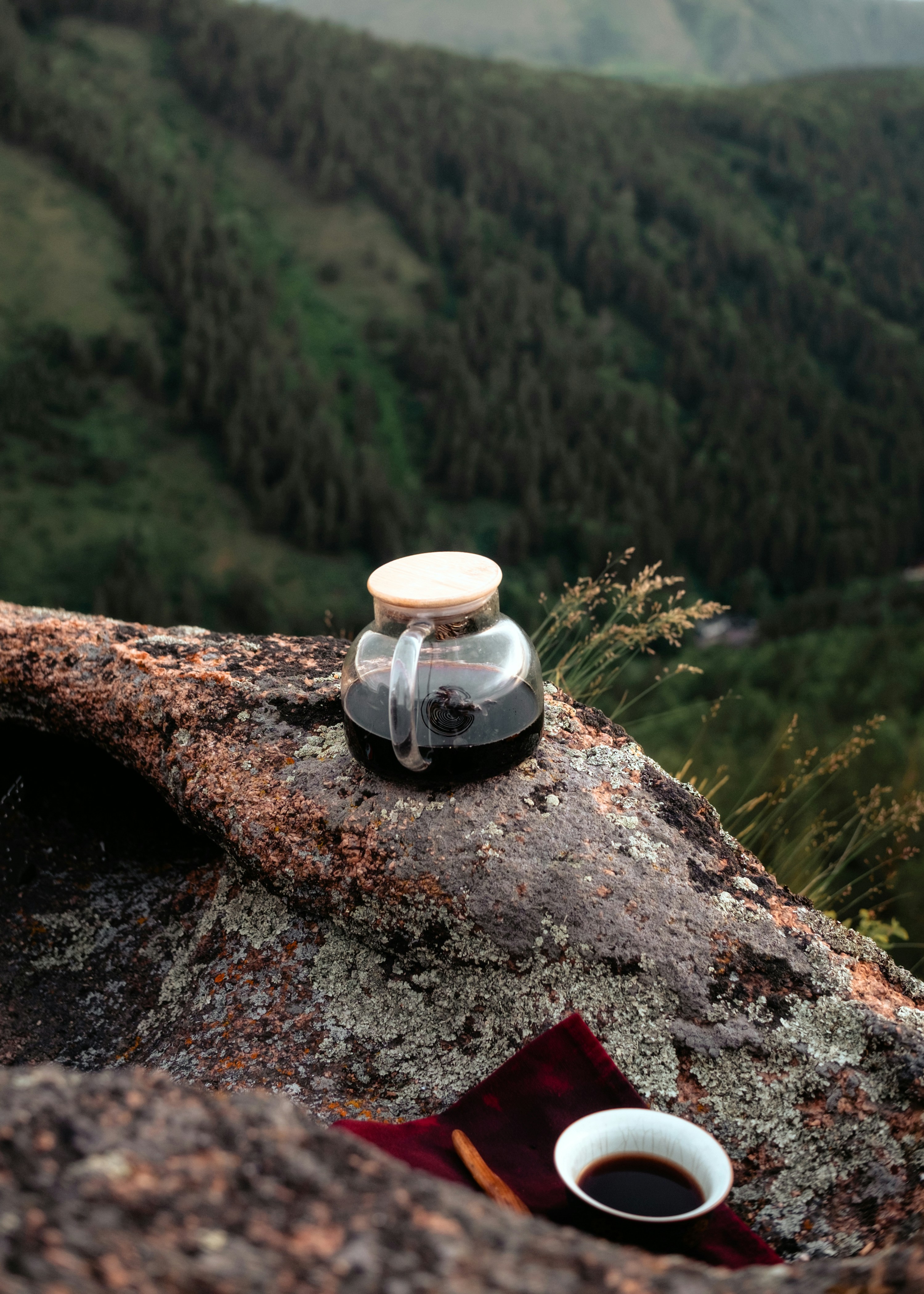 Ridge-top Brew: A Tiny Carafe Anchored on Weathered Rock Above a Verdant Valley