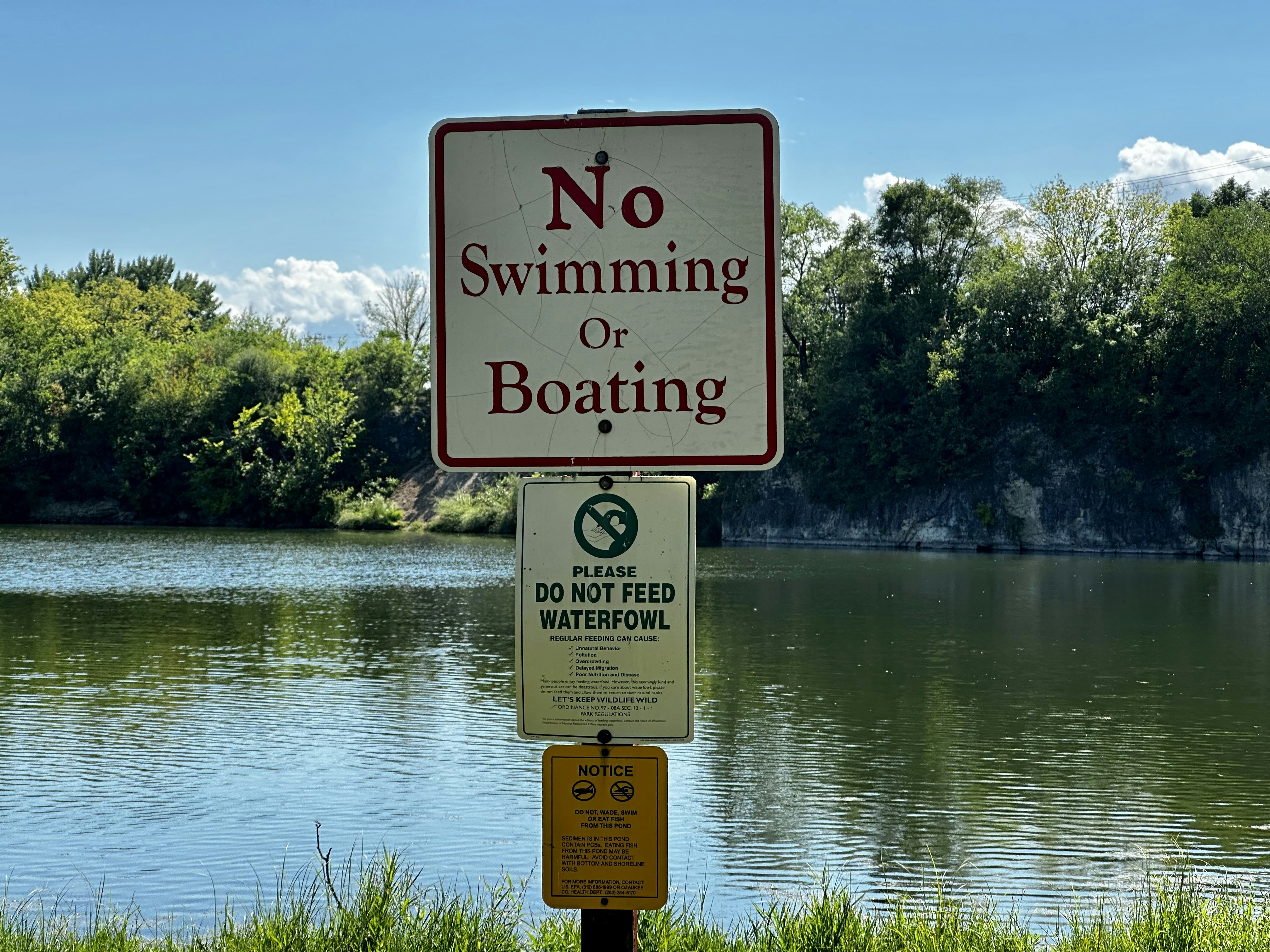Guardians of the Lake: A Tall No Swimming Sign Over Calm Waters