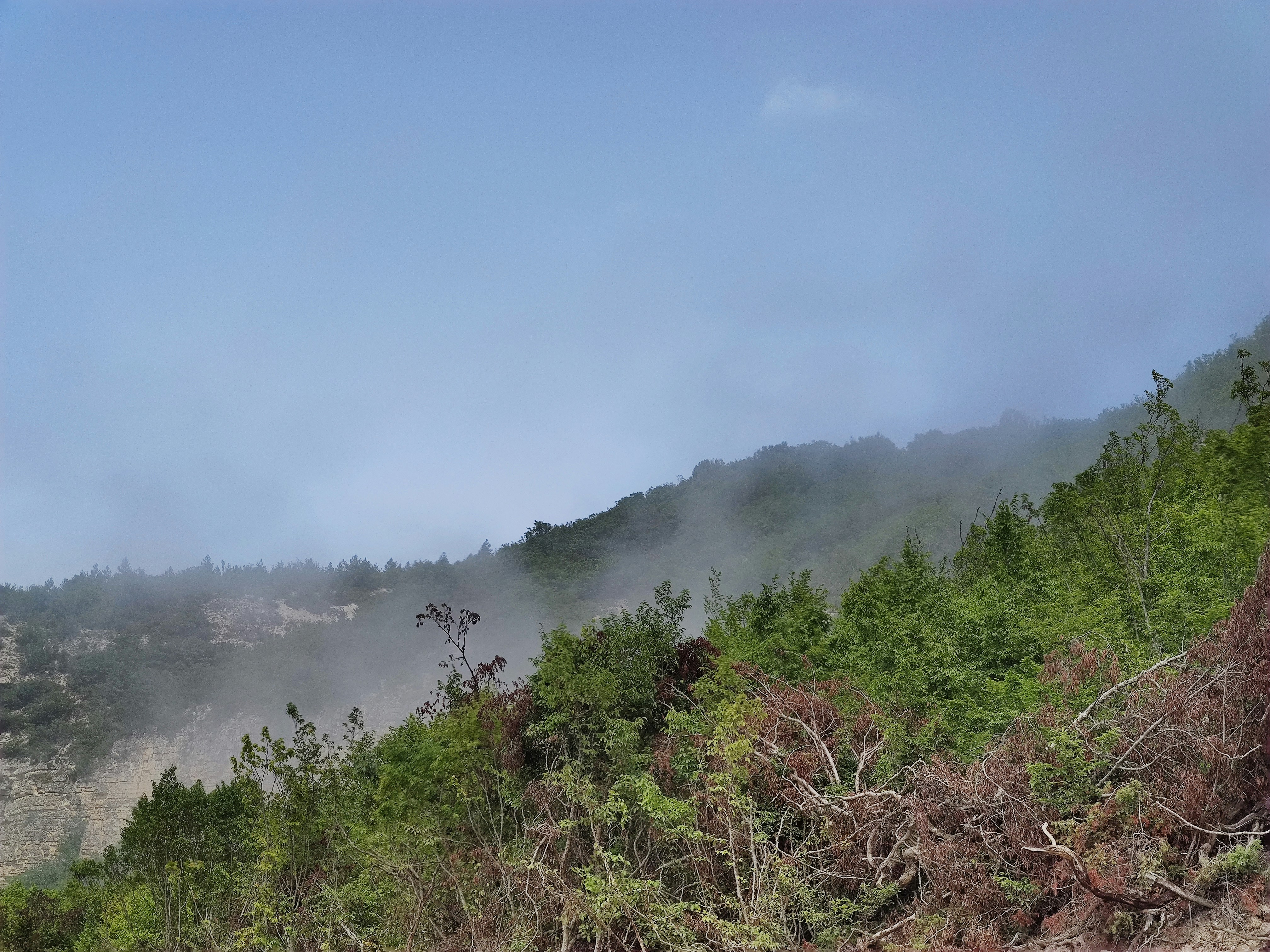 Mist rolls over a pine-covered hillside beneath a clear blue sky, creating a soft atmospheric layer. A serene landscape with layered ridges and scattered trees.