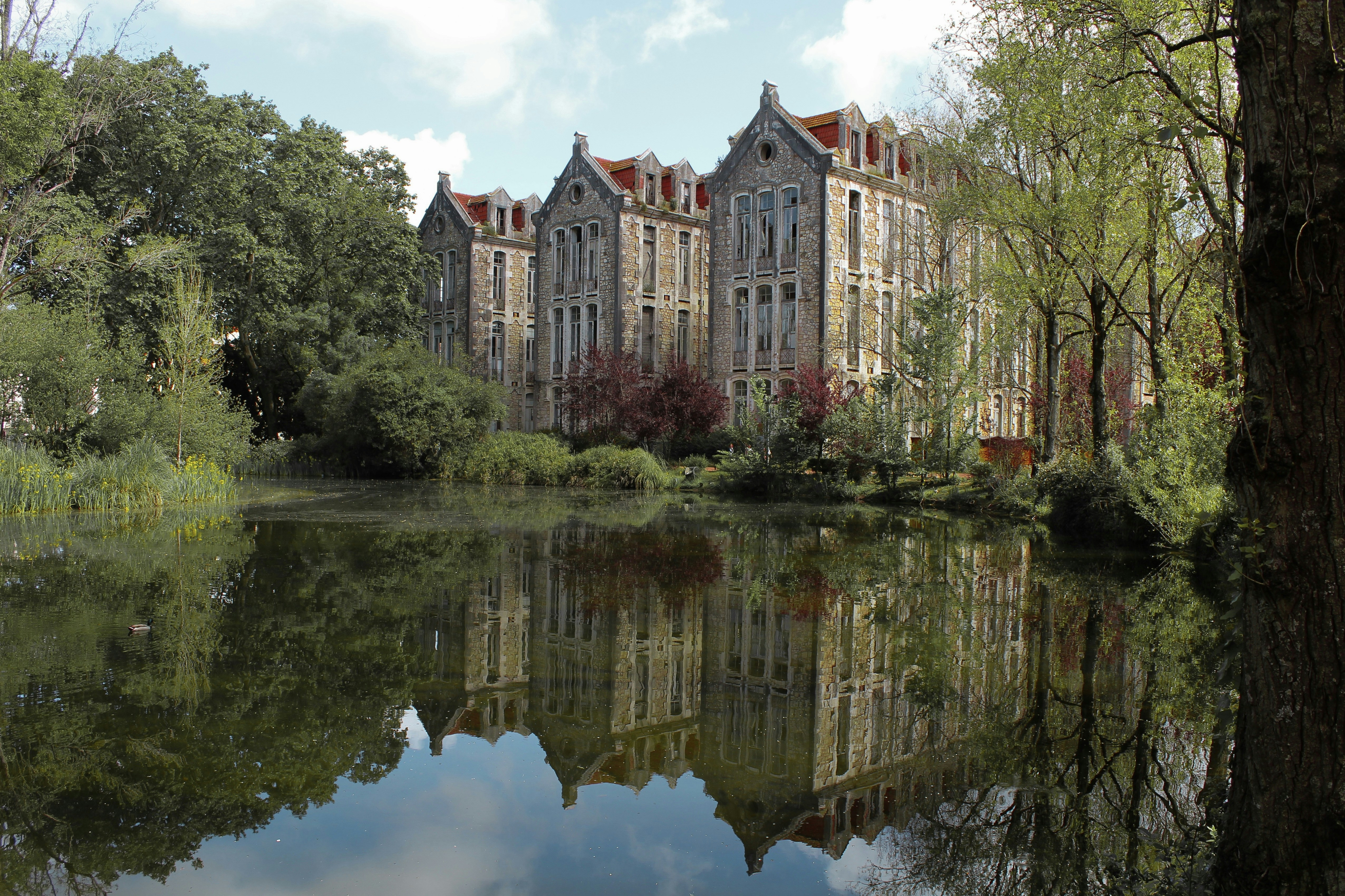 Photo by Beatriz Santos with Canon EOS 1200D