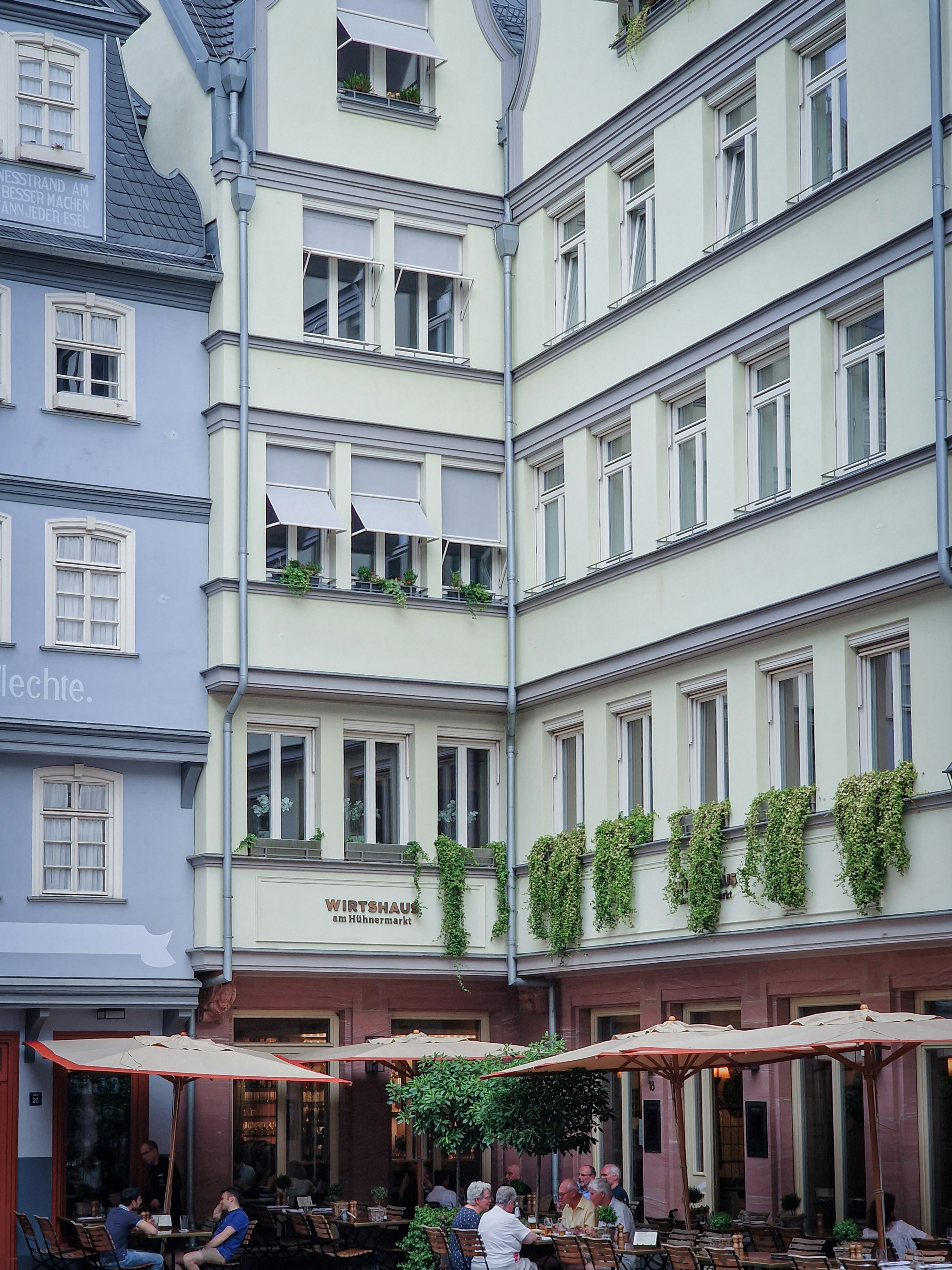 Pastel Courtyard Echoes: Café Life Under Ivy
