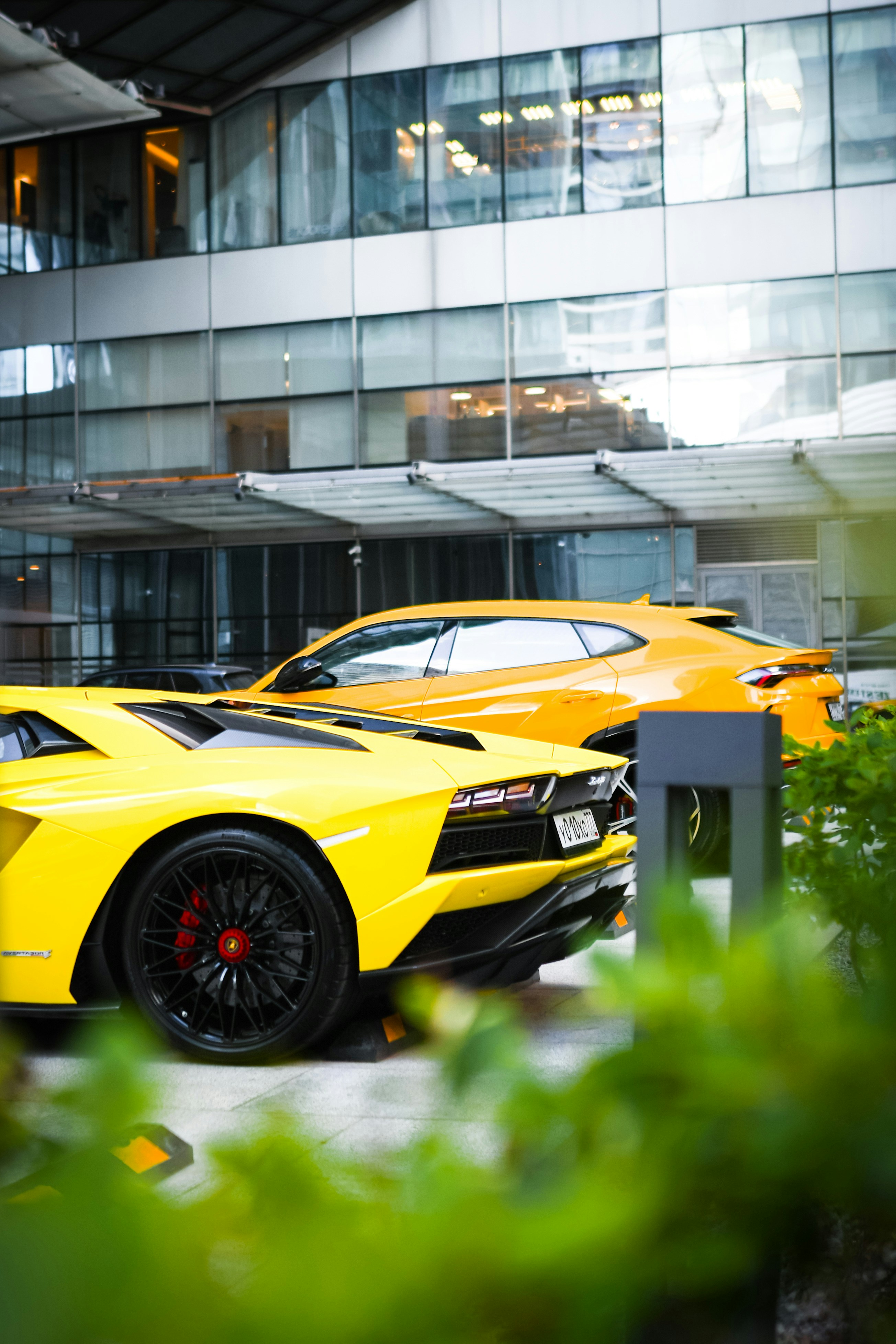 Photo by Sam Zlobin with Nikon D7500