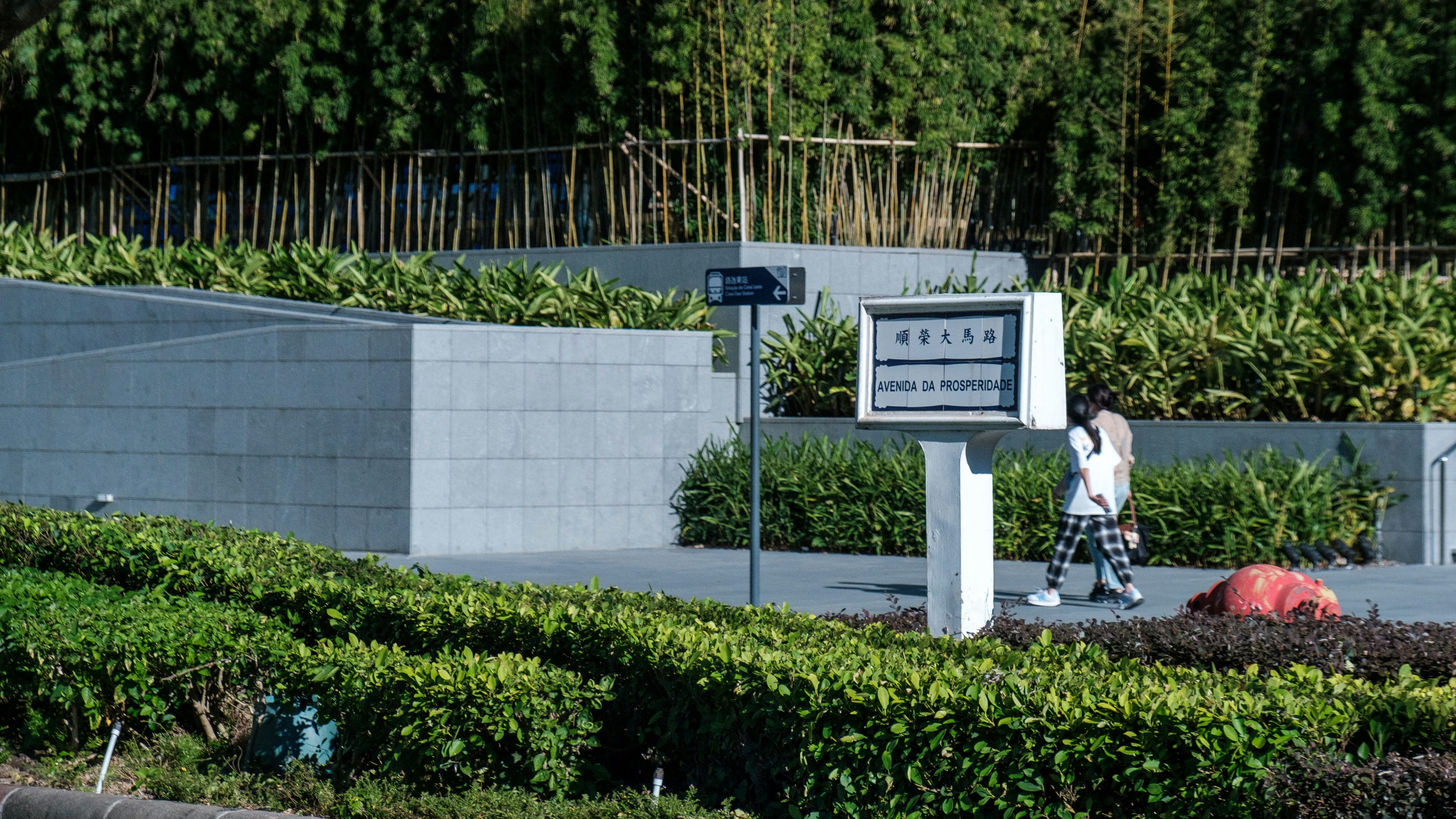 Solitary Pedestrian by a White Sign in a Sunlit Urban Garden