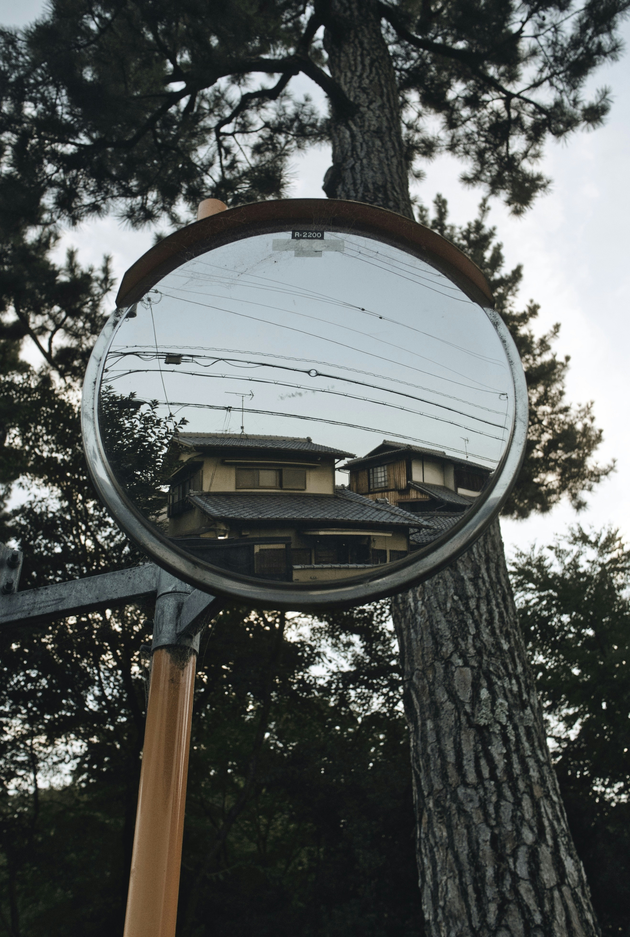 use mirrors to get some unique shots of the subject u see.