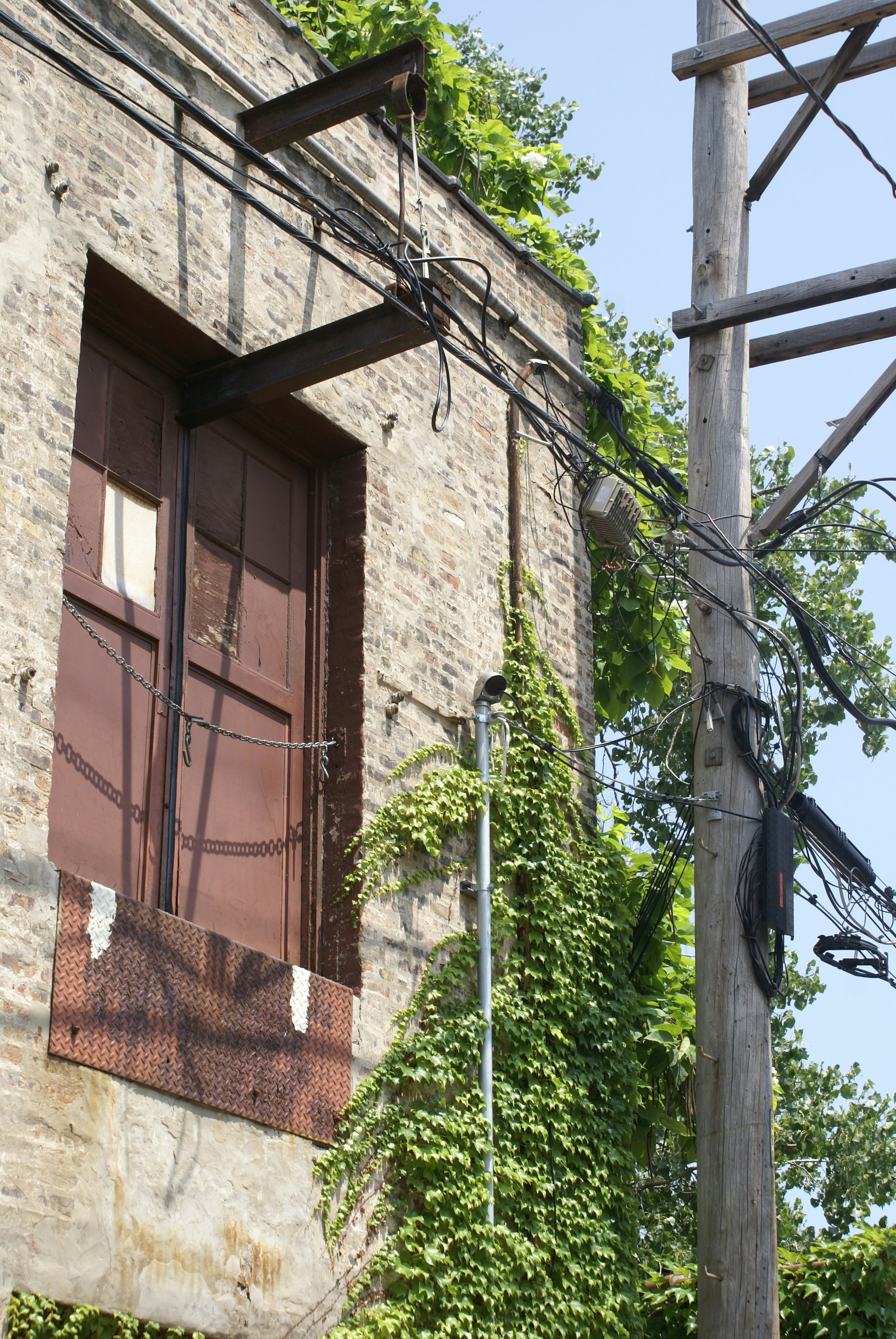 Ivy, Iron, and a Weathered Door: A Portrait of Urban Texture