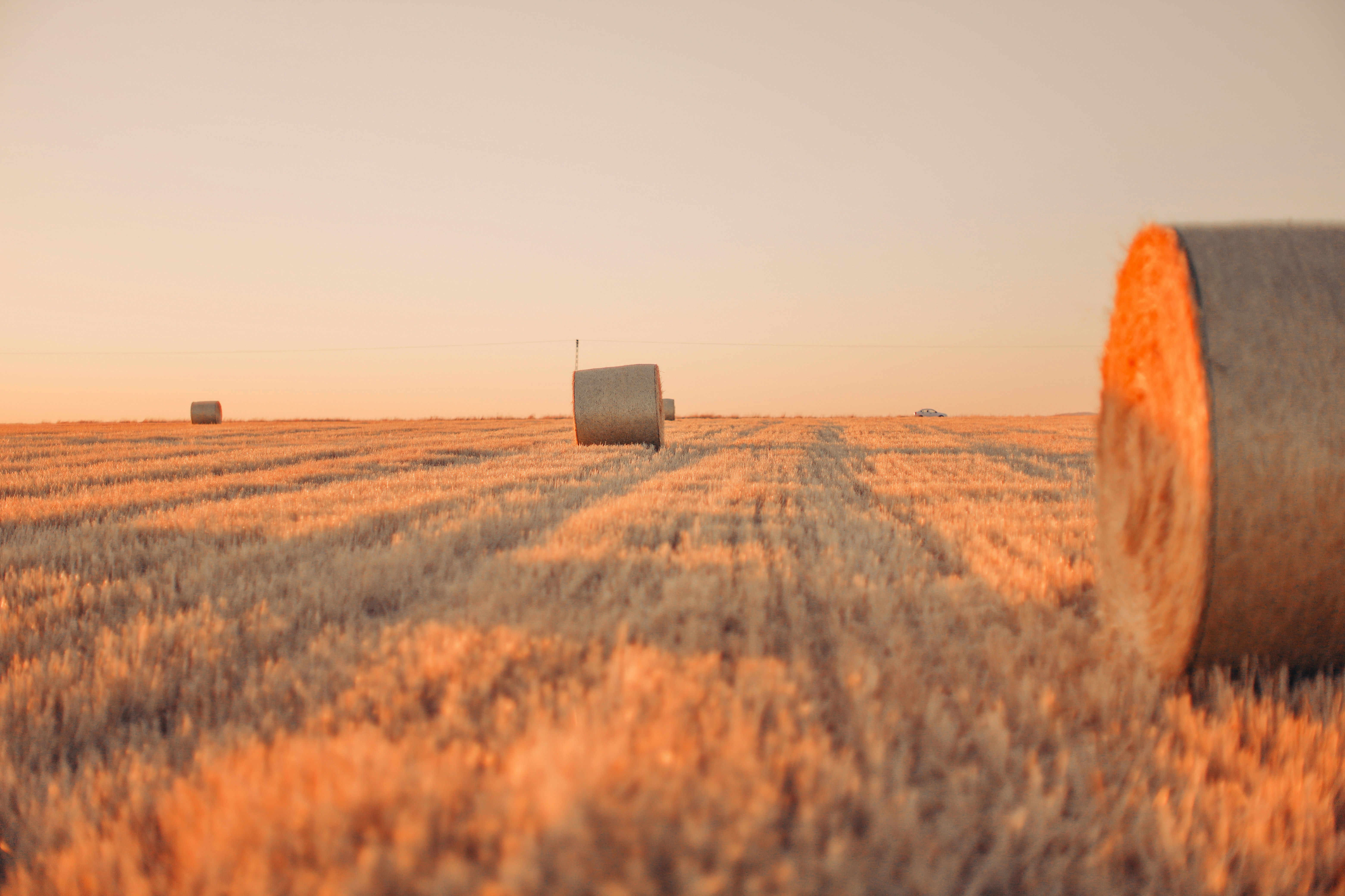 Golden Hour Loom: The Right-Side Hay Bale Anchors a Quiet Field