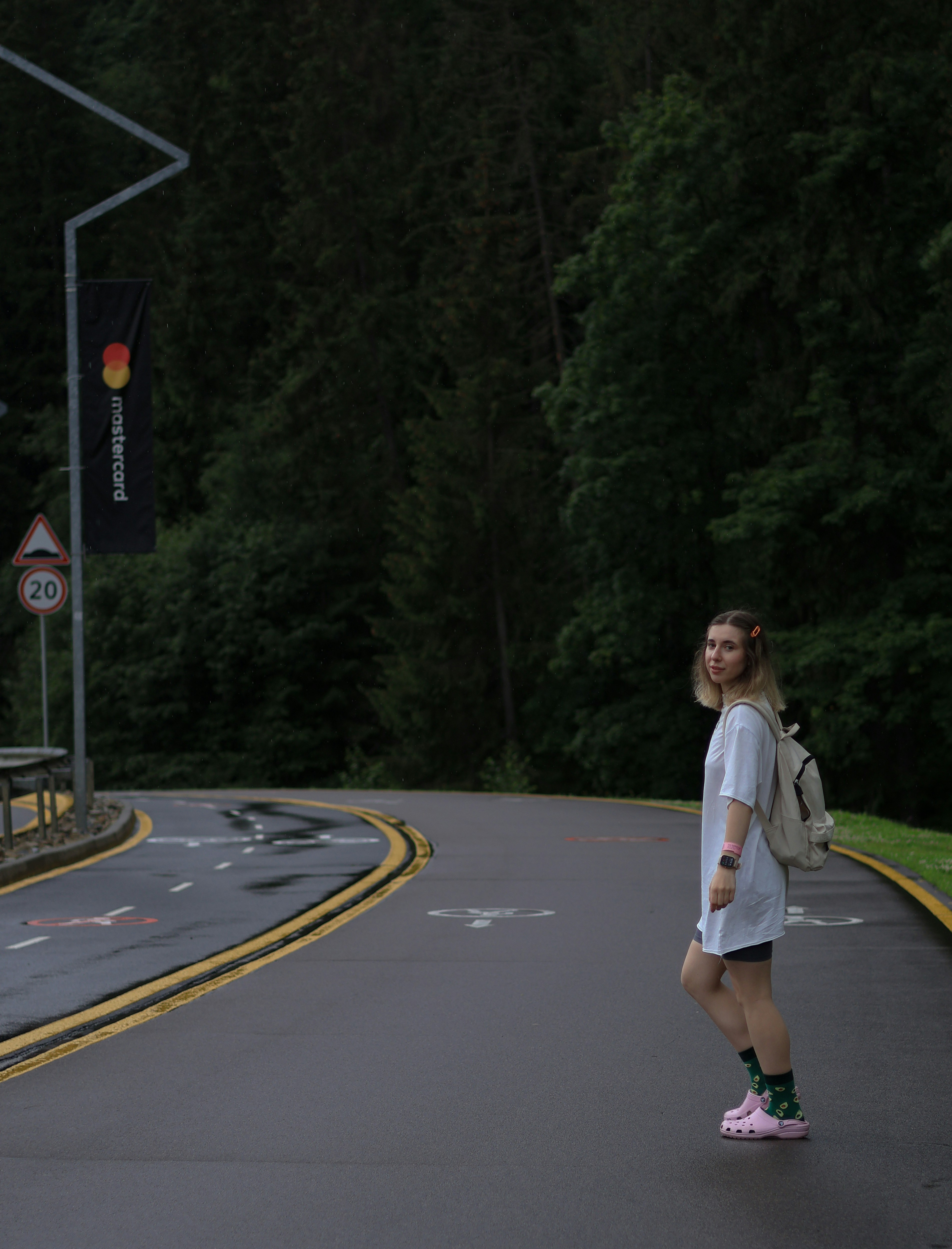 Laurel Roadway Portrait: A Quiet Moment on a Forested Curve