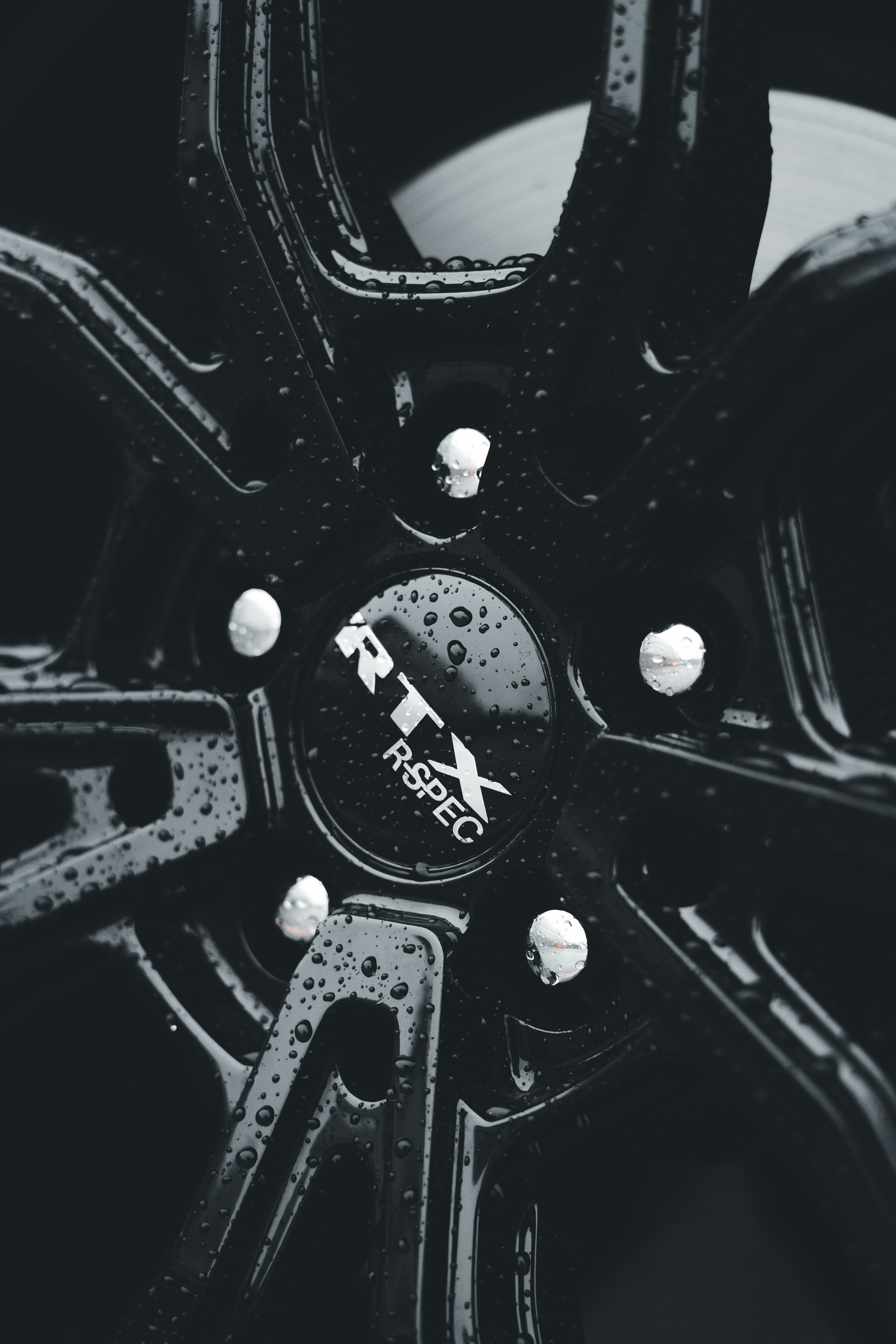 Photo by Erik Mclean with Sony Alpha 7 III