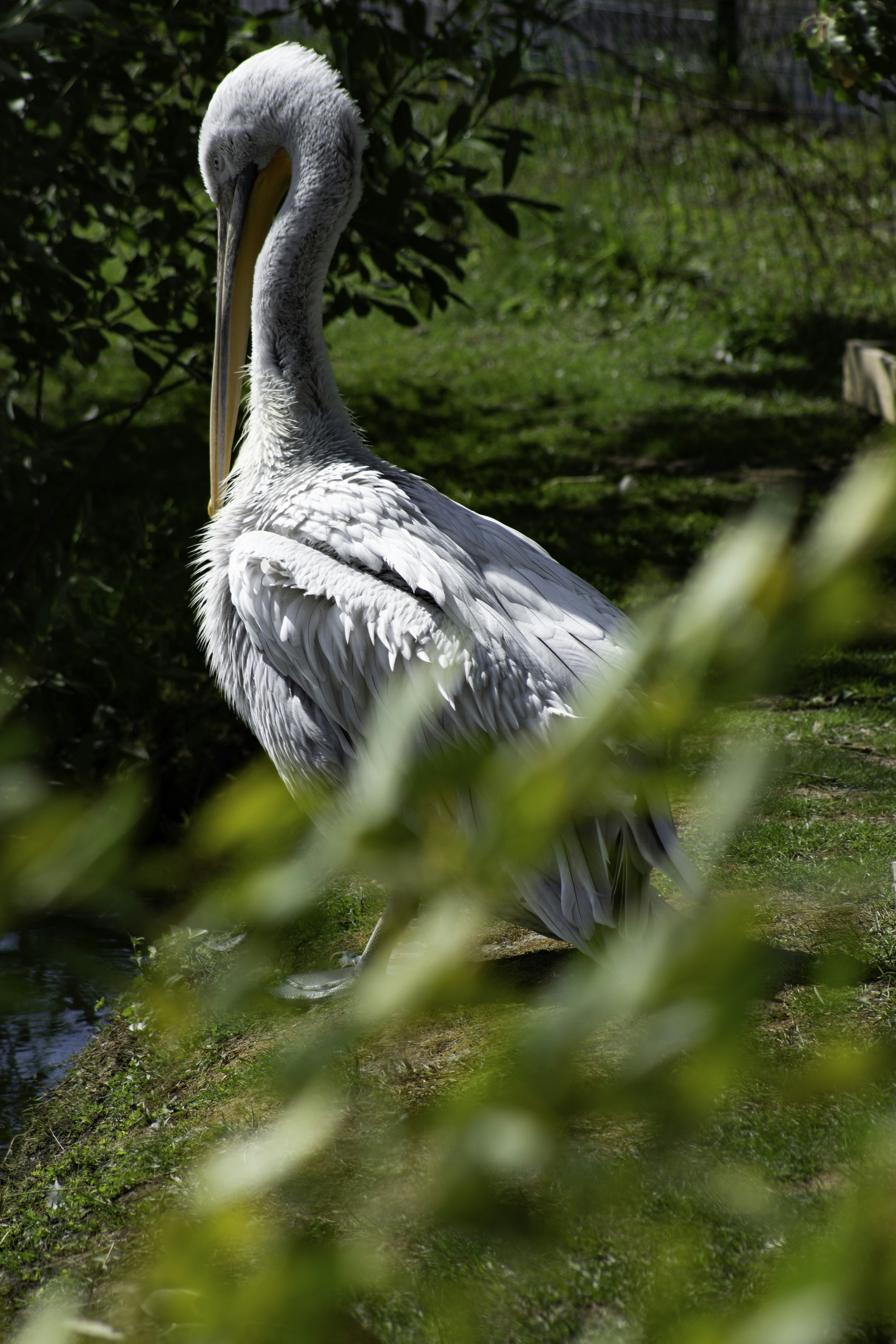 Photo by Alex Devera with Sony Alpha SLT-A65