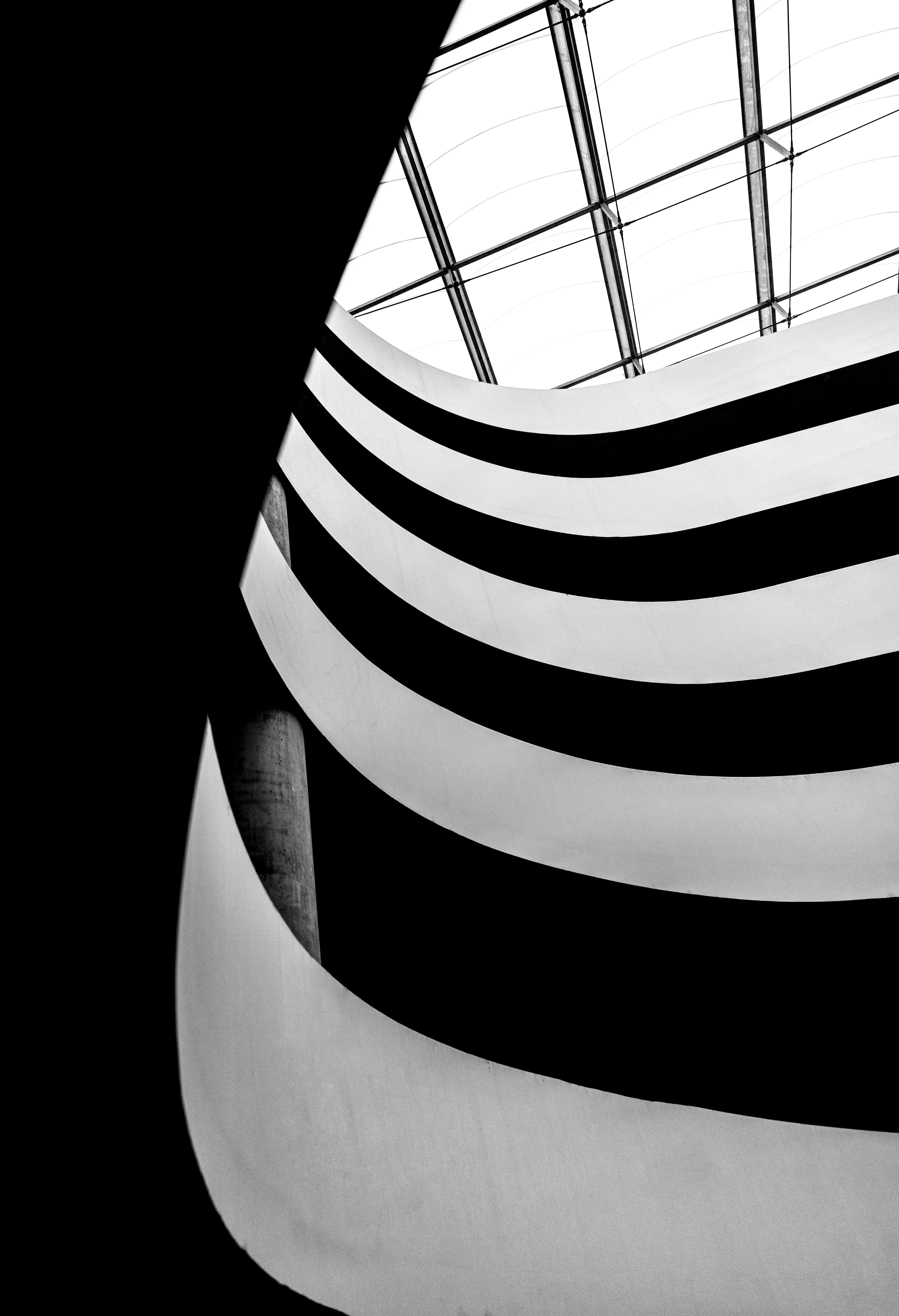 Ribbons in the Atrium: A Monochrome Architectural Study