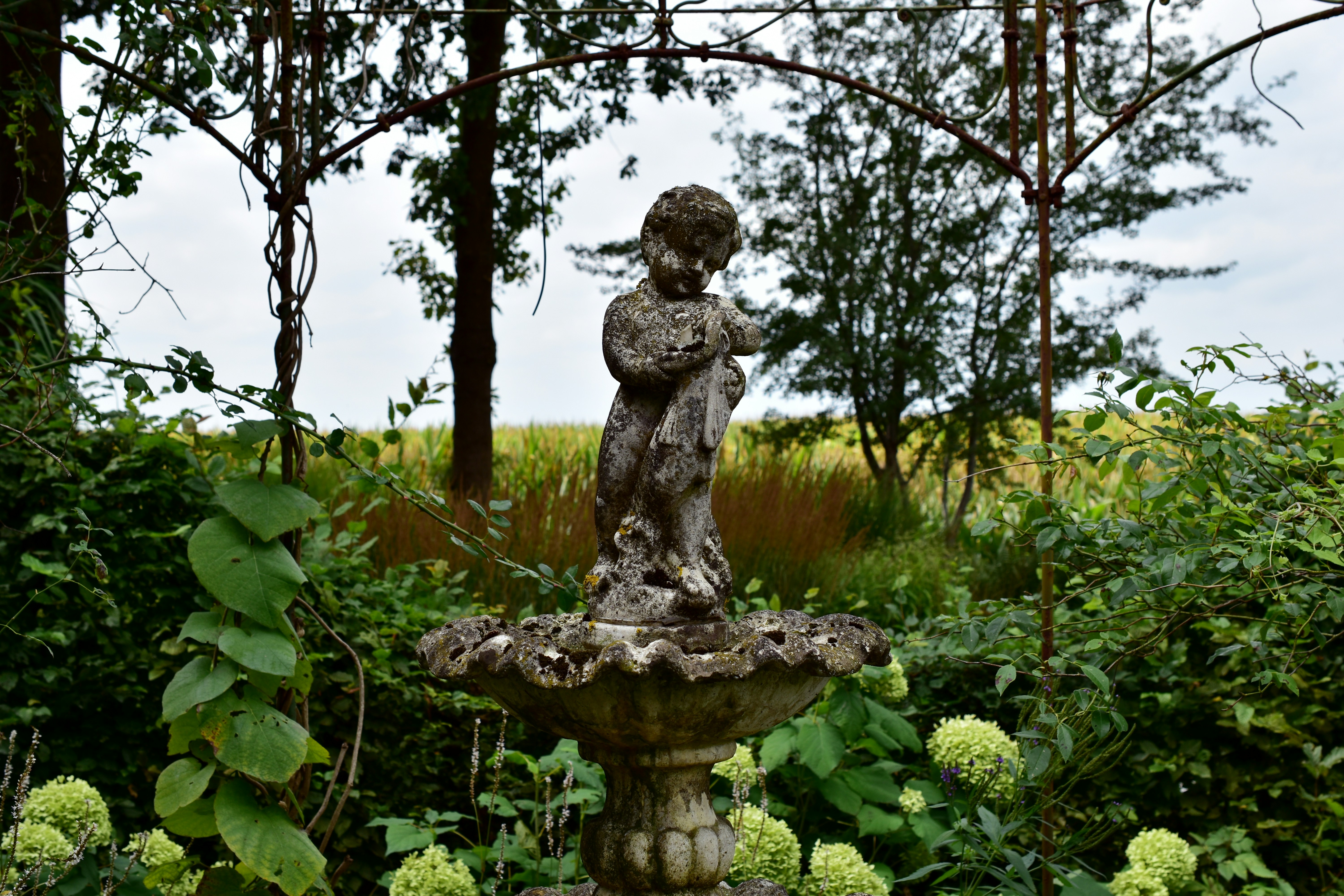 Weathered Cherub on a Mossy Garden Fountain Surrounded by Quiet Greenery