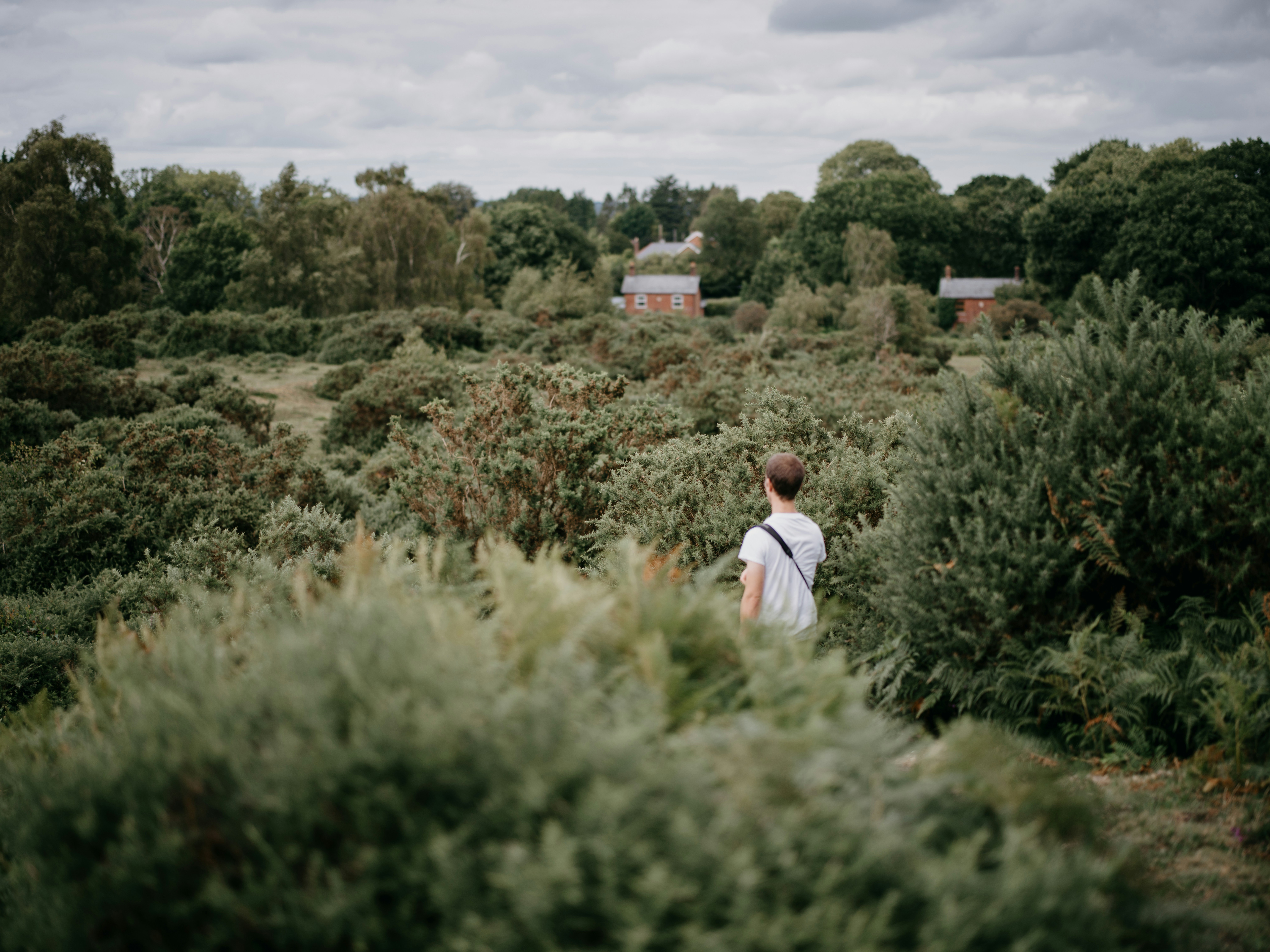 Photo by Annie Spratt with Hasselblad 907X 50C