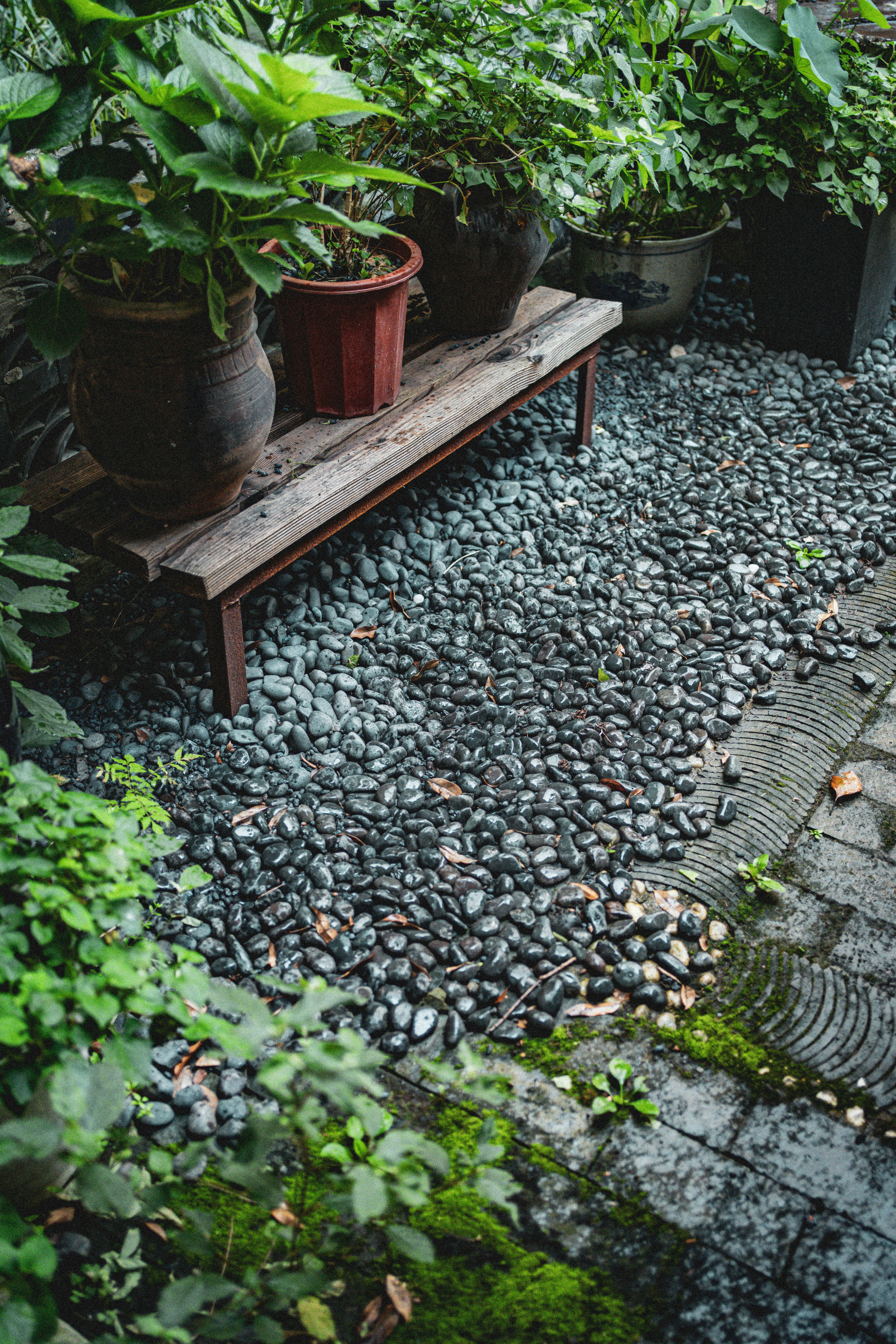 Photo by Limi change with Sony Alpha 7 IV