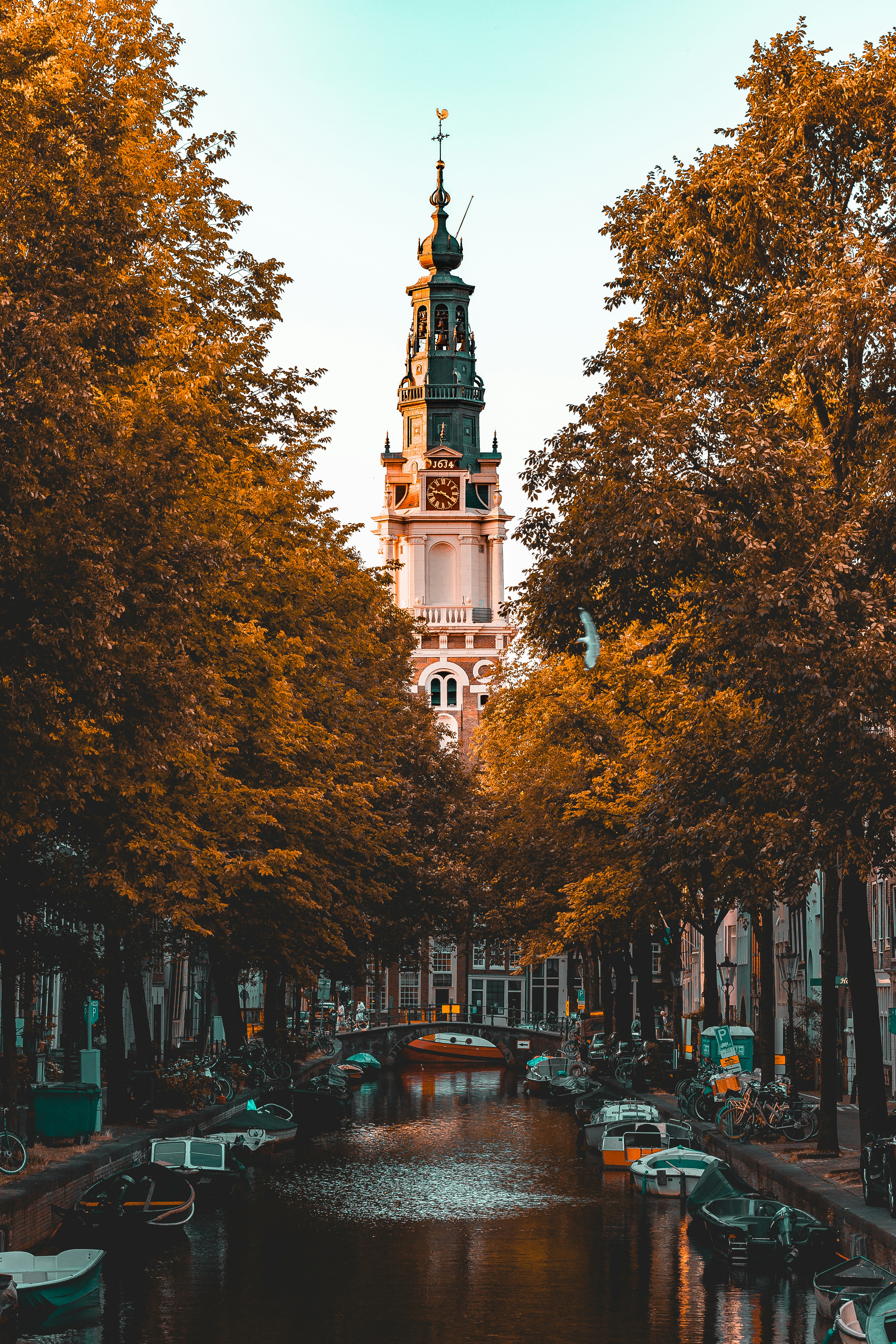 Emerald Clocktower Rising Through an Autumn Canal
