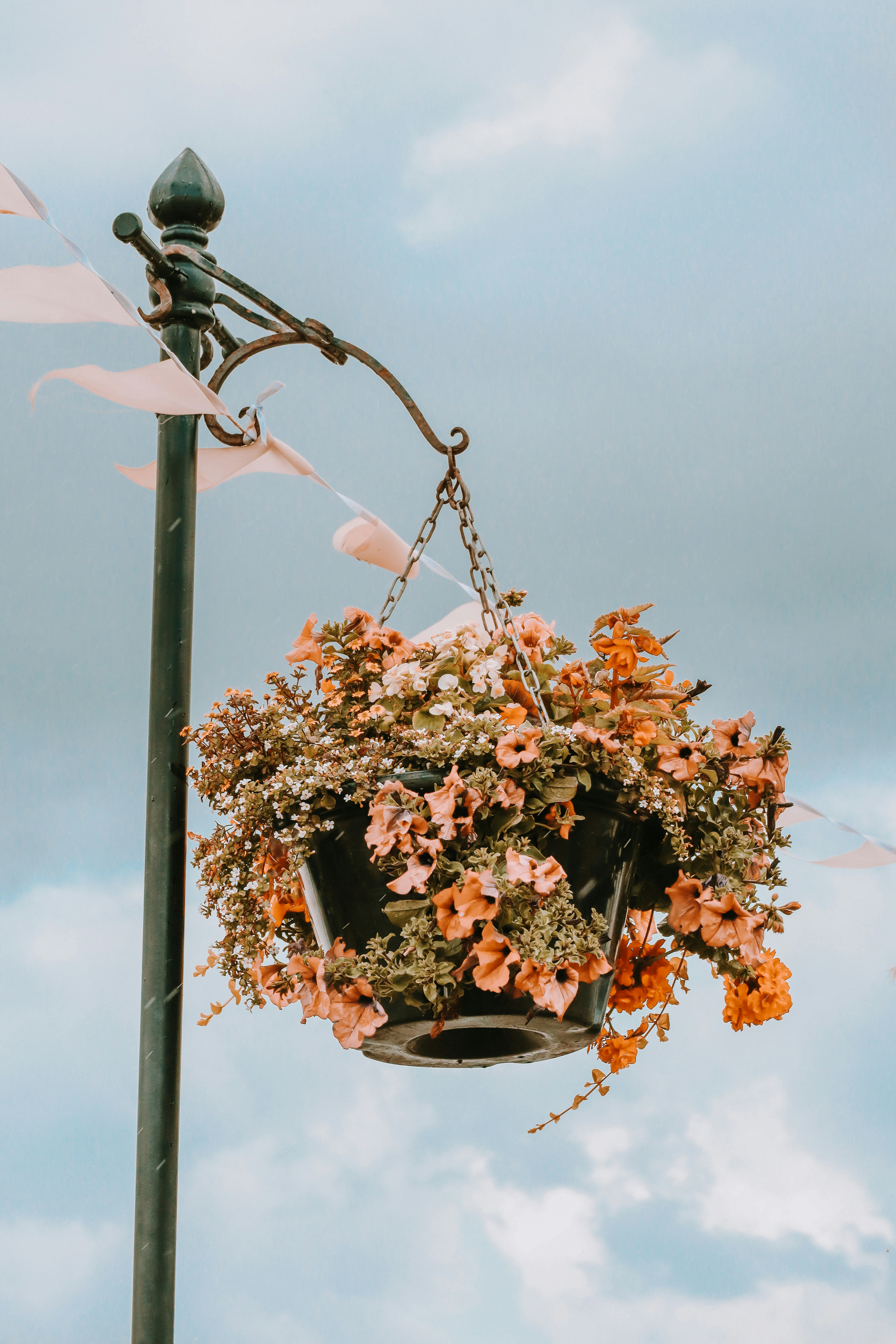 A floral hanging basket suspended from a decorative lamppost against a pale blue sky with wispy clouds.
