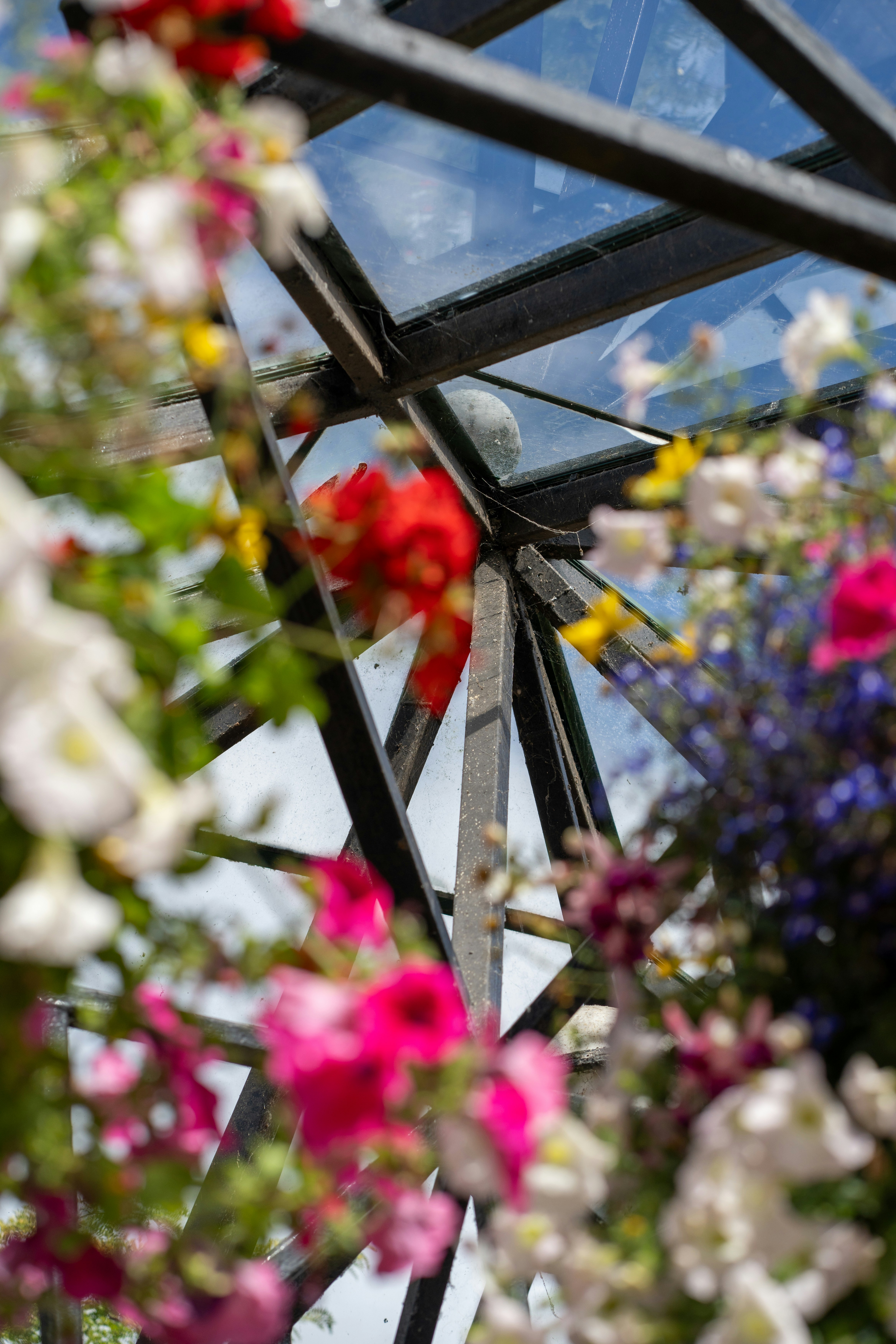 Glassed Garden Frame: Floral Vines Framing a Steel Skylight