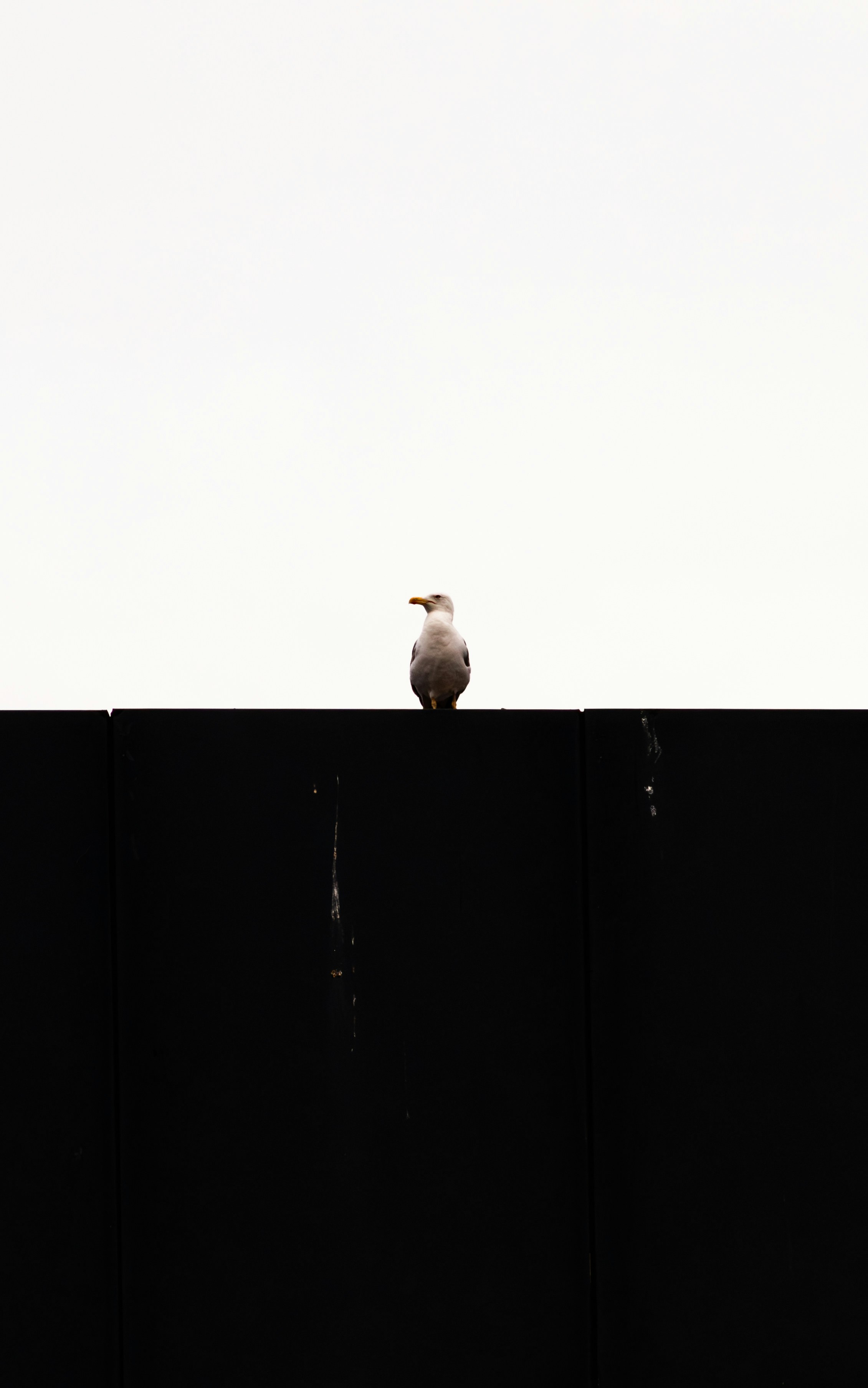 Photo by Abdul Samet YILMAZ with Canon EOS 70D