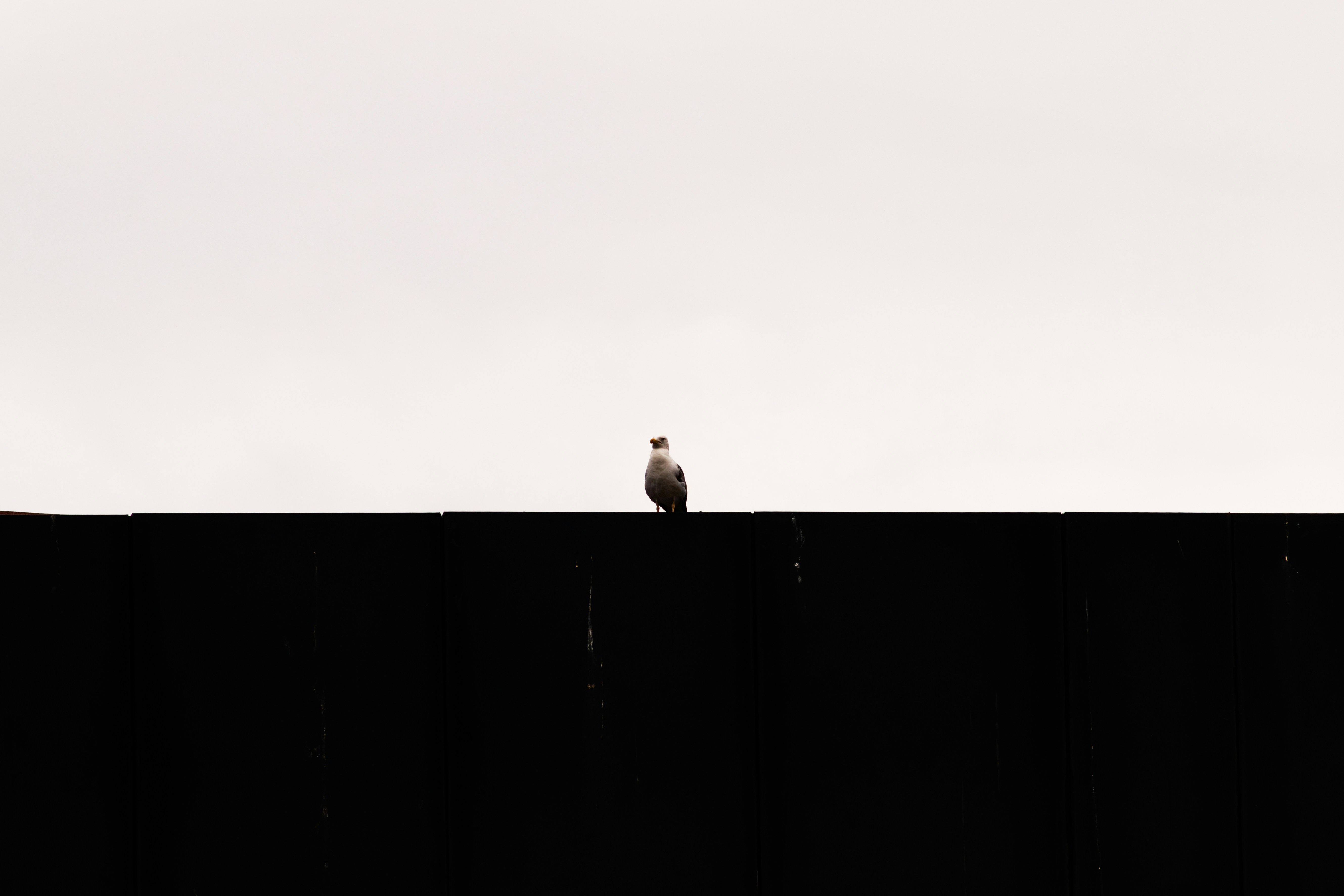 Photo by Abdul Samet YILMAZ with Canon EOS 70D