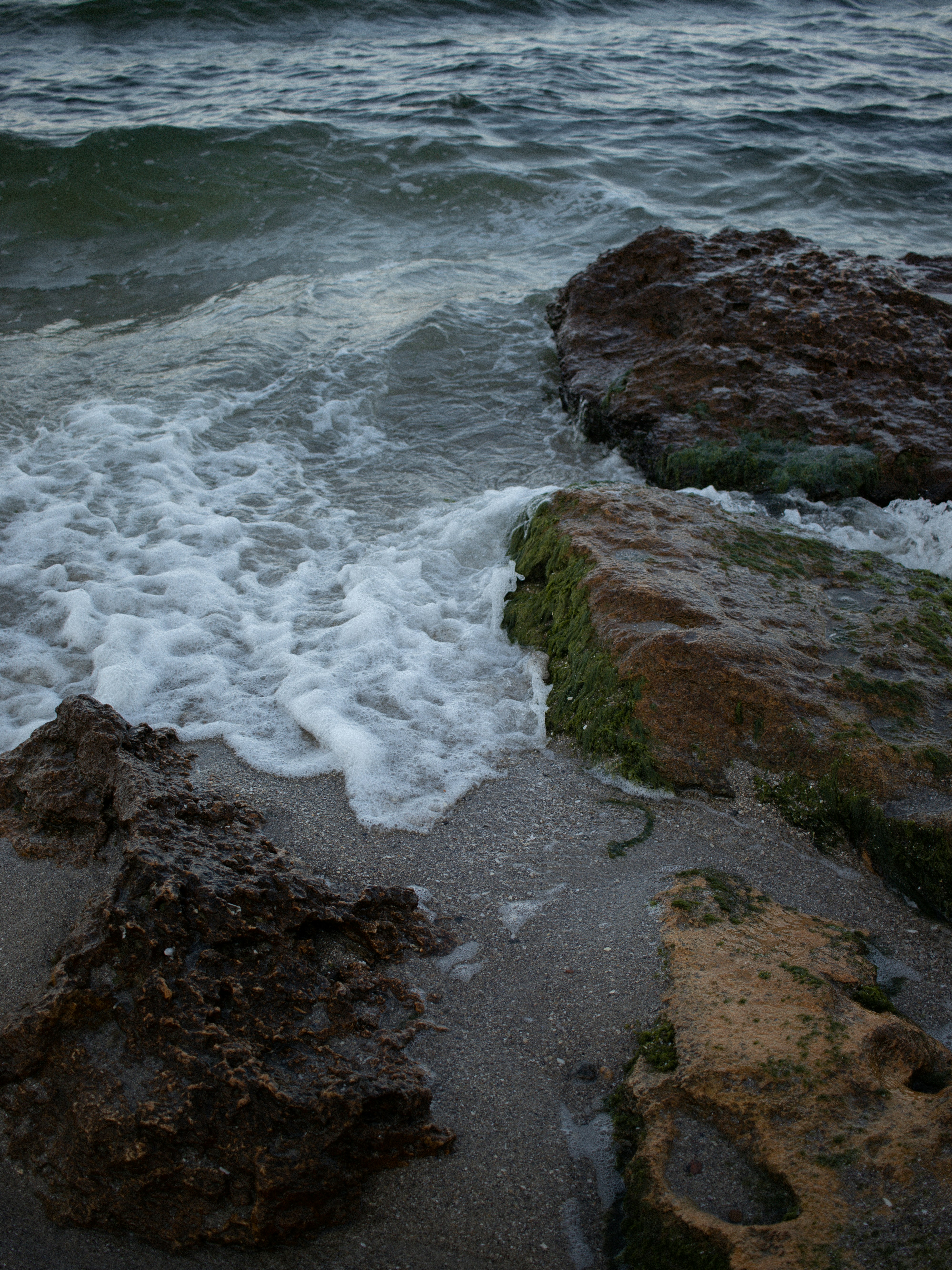 Photo by Daryna Dudar with Canon EOS 77D