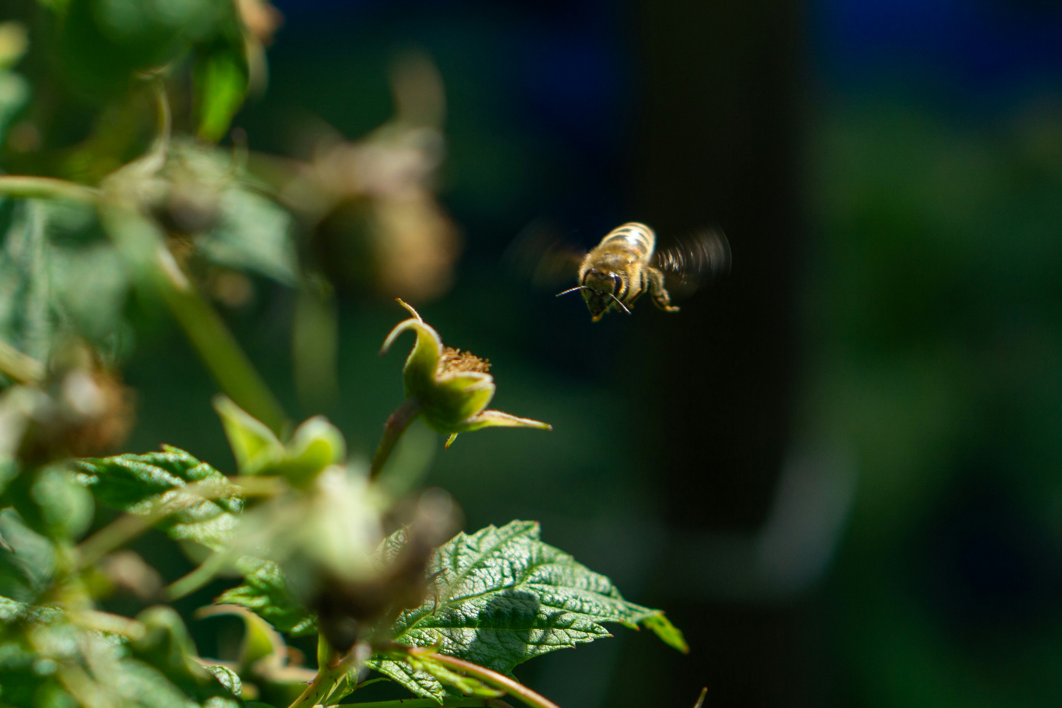 Photo by Mikołaj Maciocha with Sony Alpha 6000