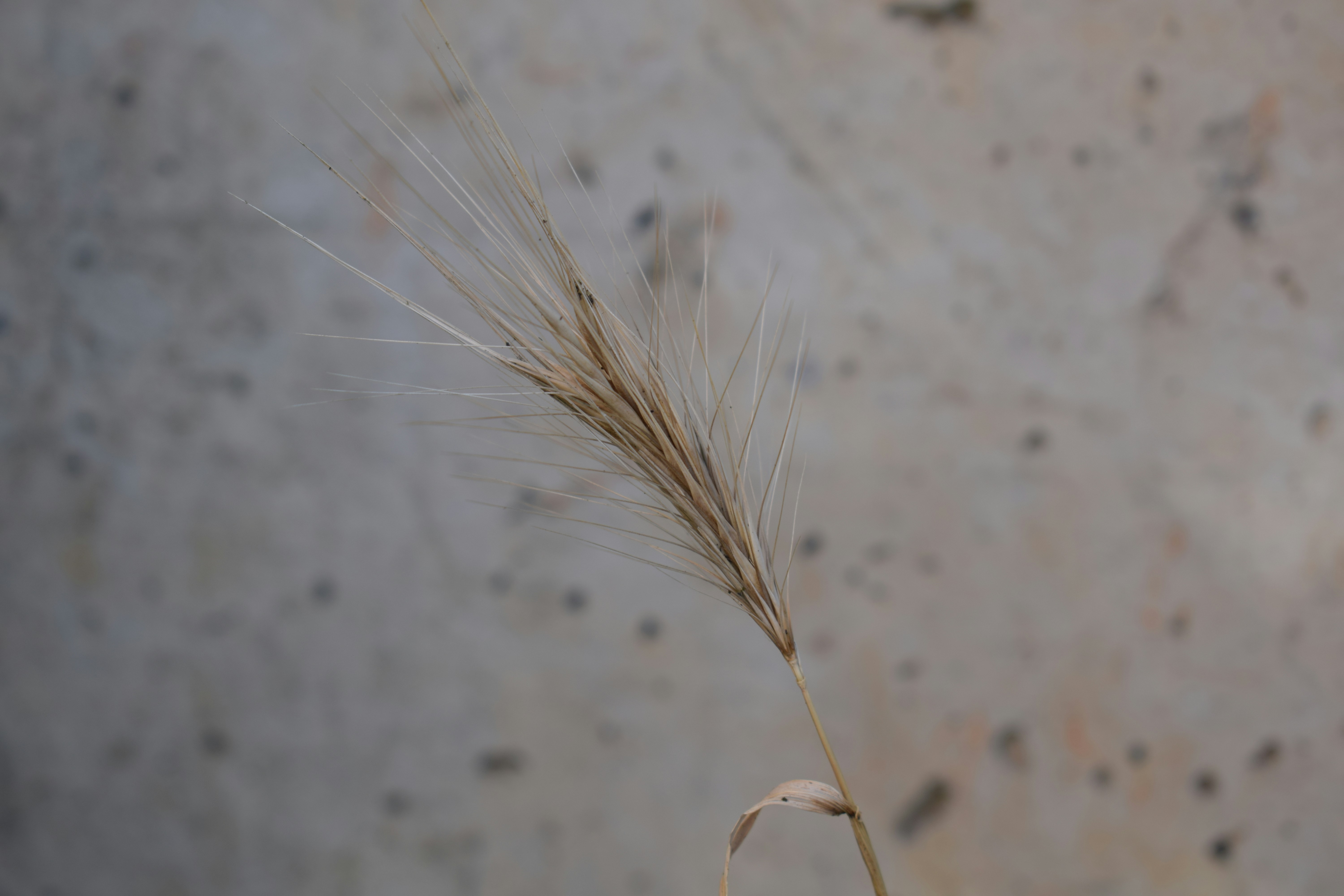 Photo by Marija Zaric with Nikon D5300