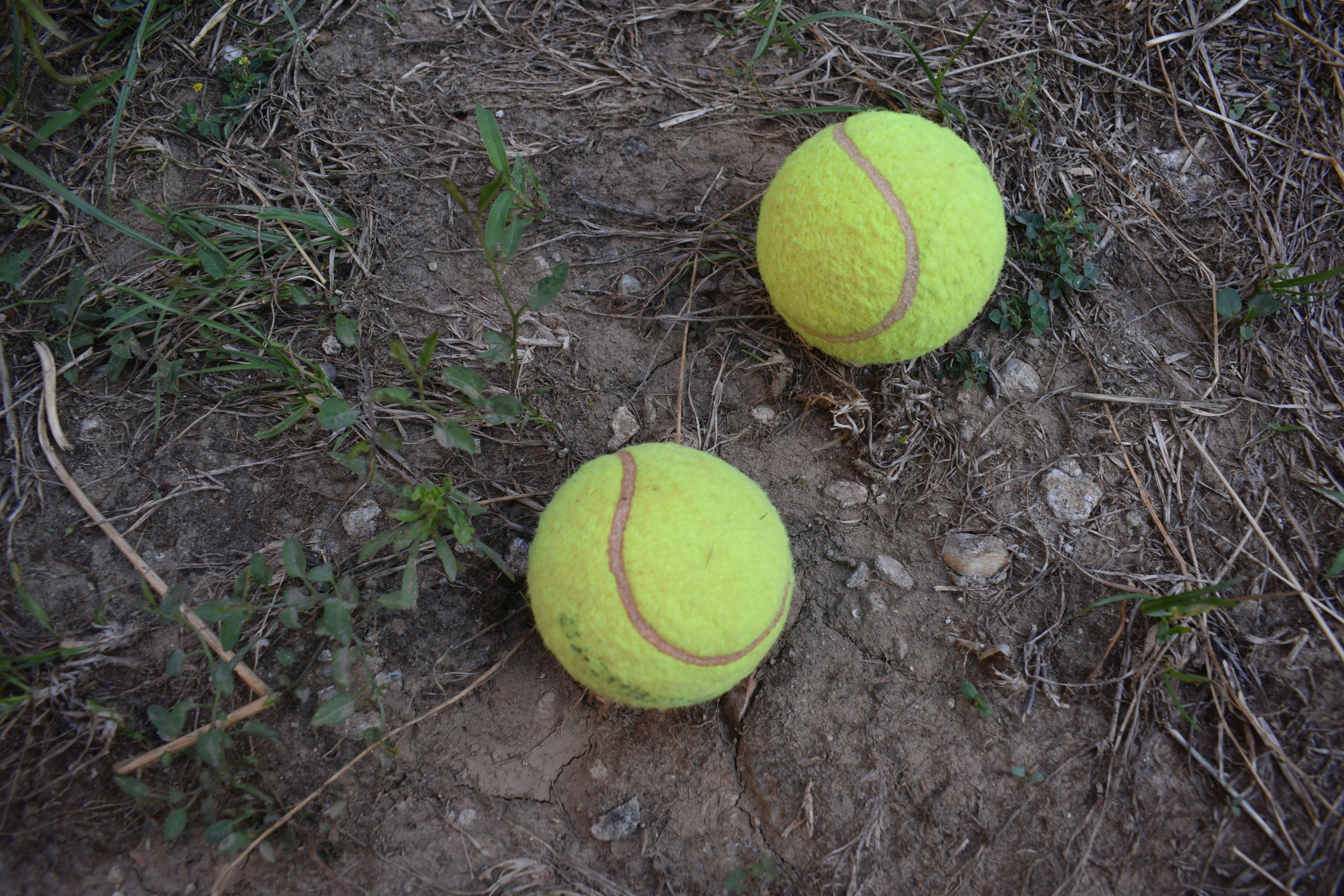 Two Tennis Balls on a Dusty Patch: Quiet Ground, Bright Spheres
