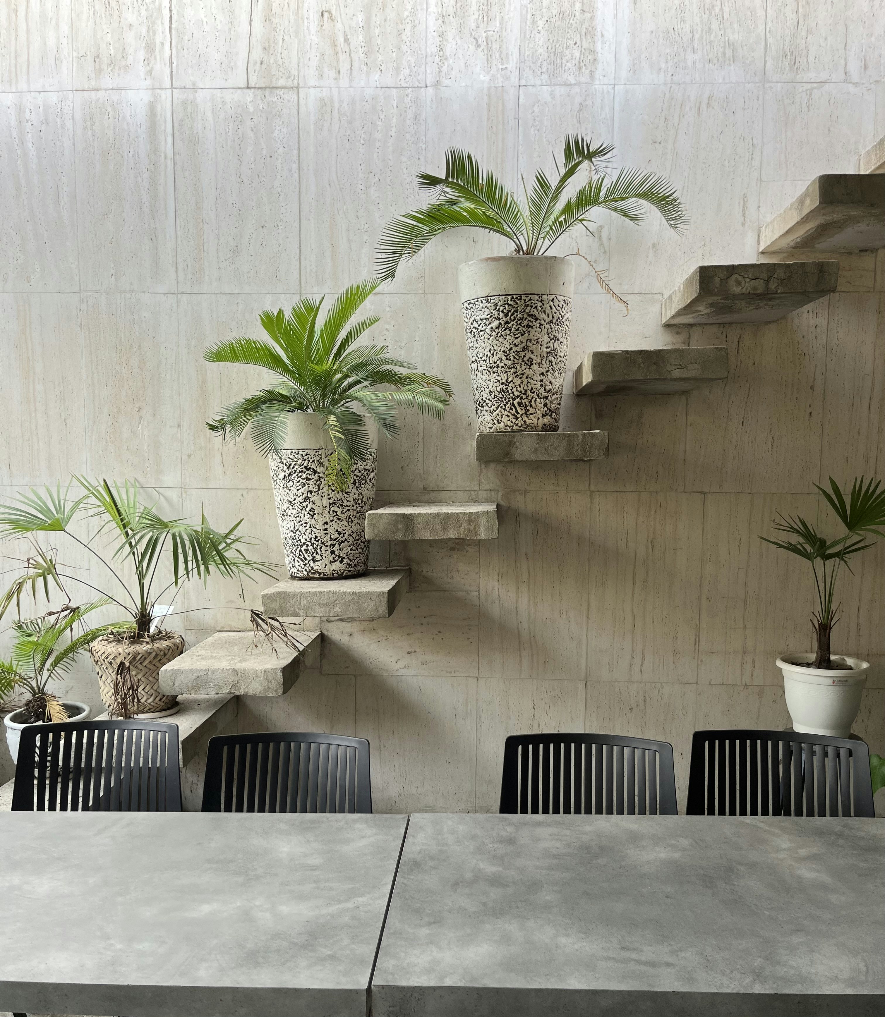Concrete Staircase Oasis: Potted Greenery on a Minimalist Terrace