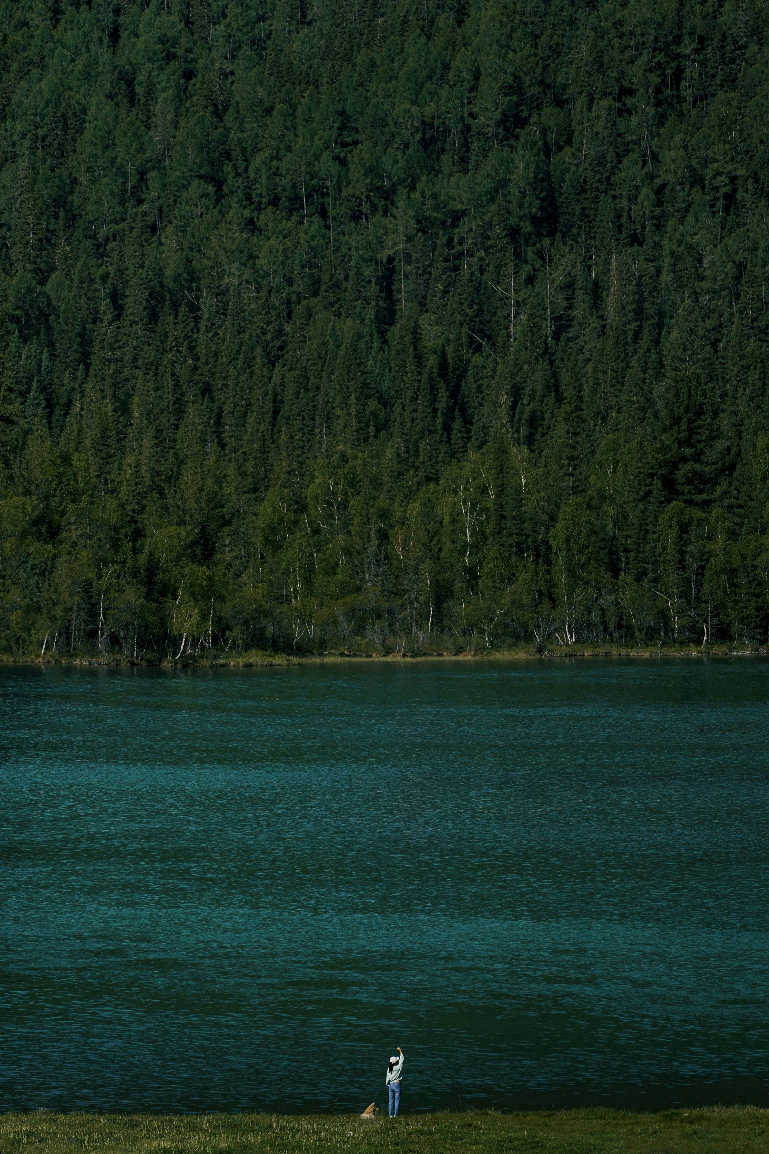 Photo by Yang with Sony Alpha 7C