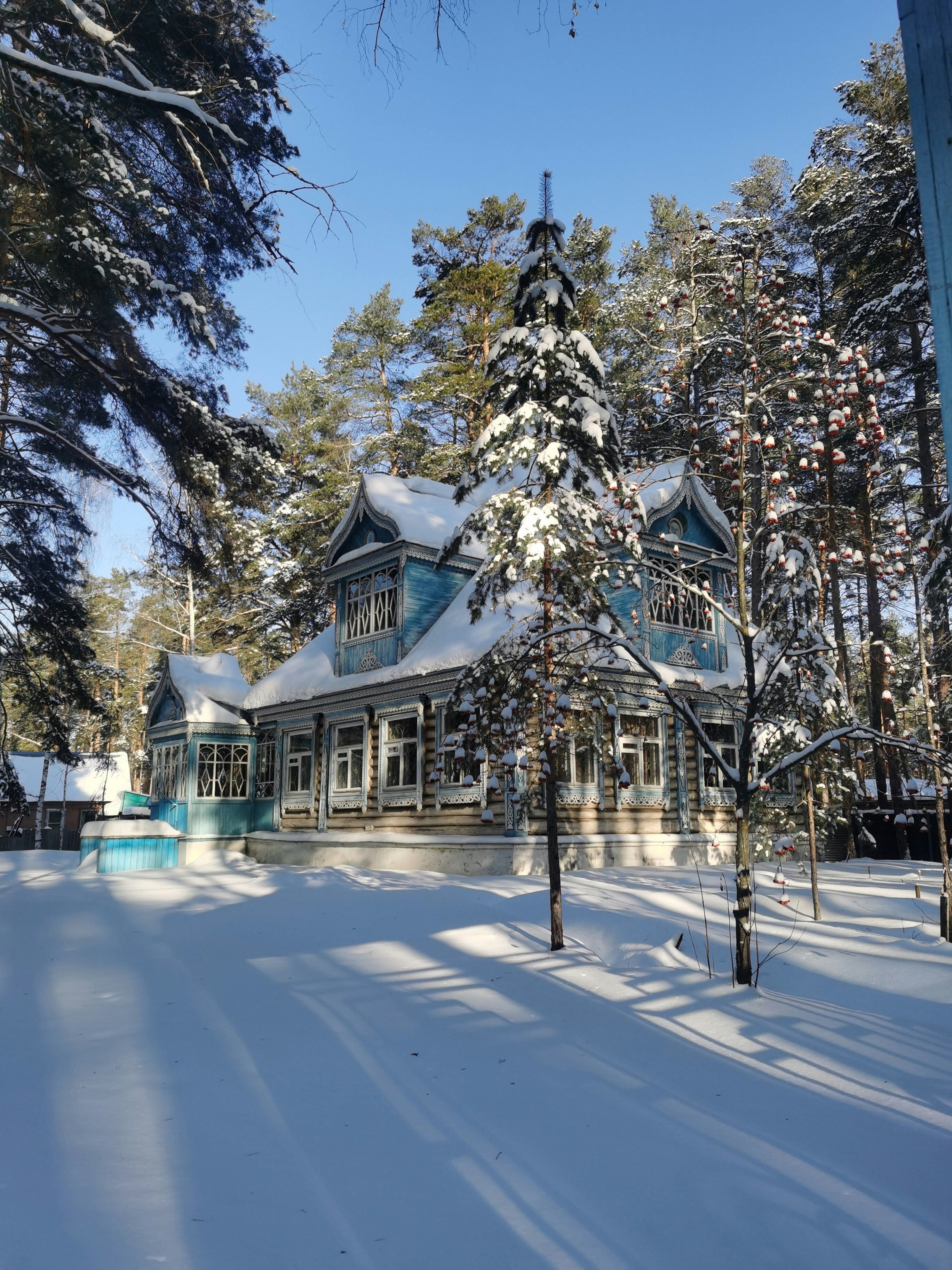 A house in the middle of a snowy forest photo – Free Tree Image on Unsplash
