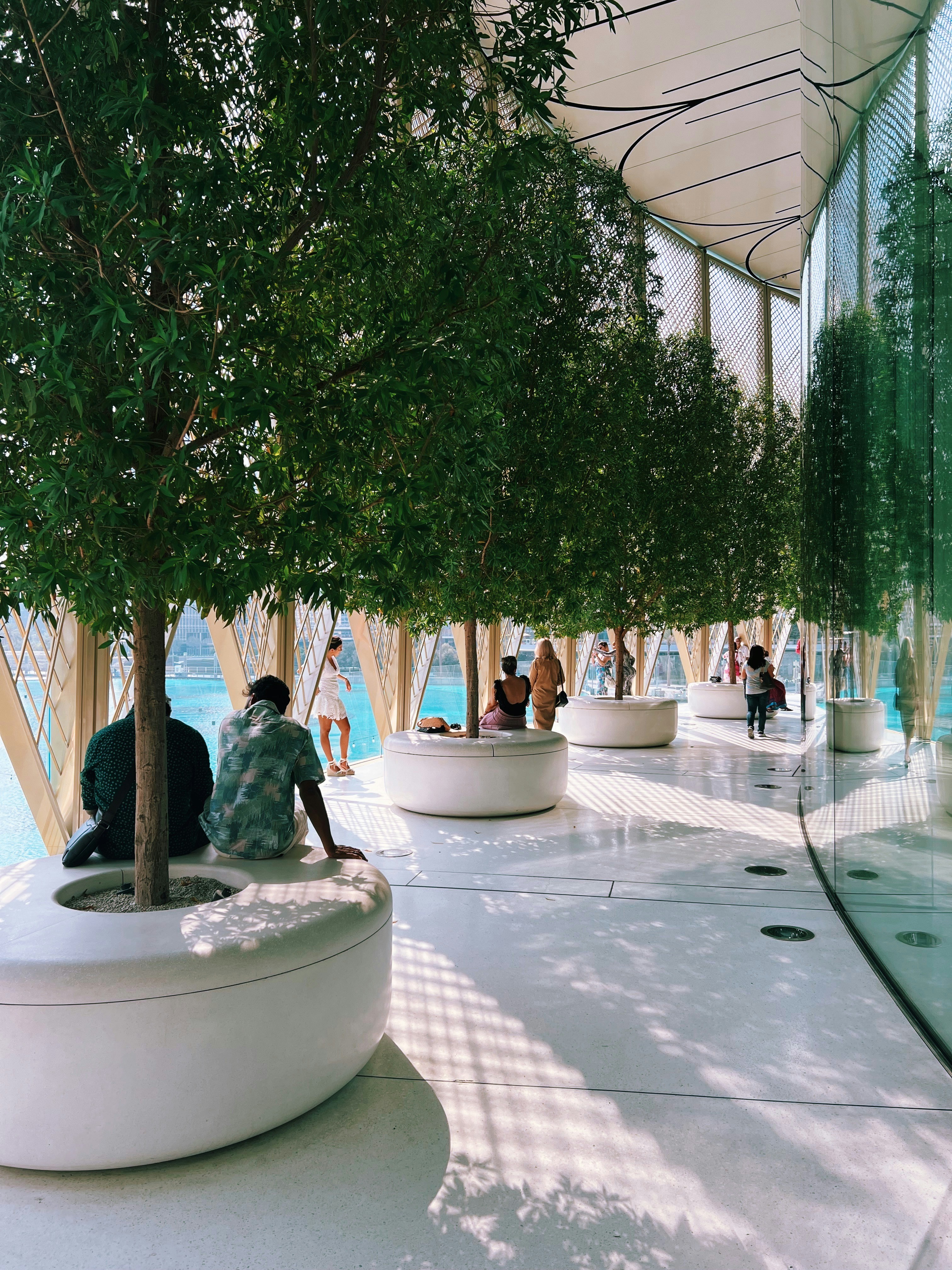 Indoor trees line a sleek glass corridor with people seated on circular benches under soft daylight.
