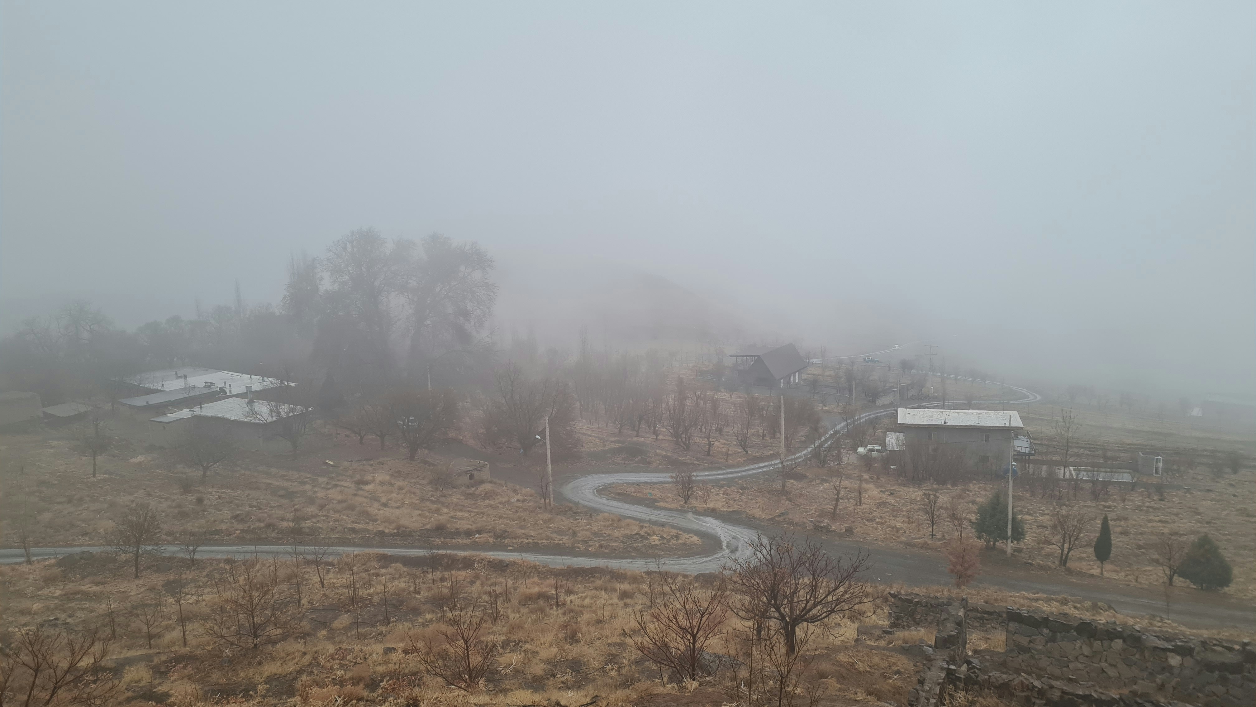 Foggy landscape with winding road and sparse trees under a muted sky.