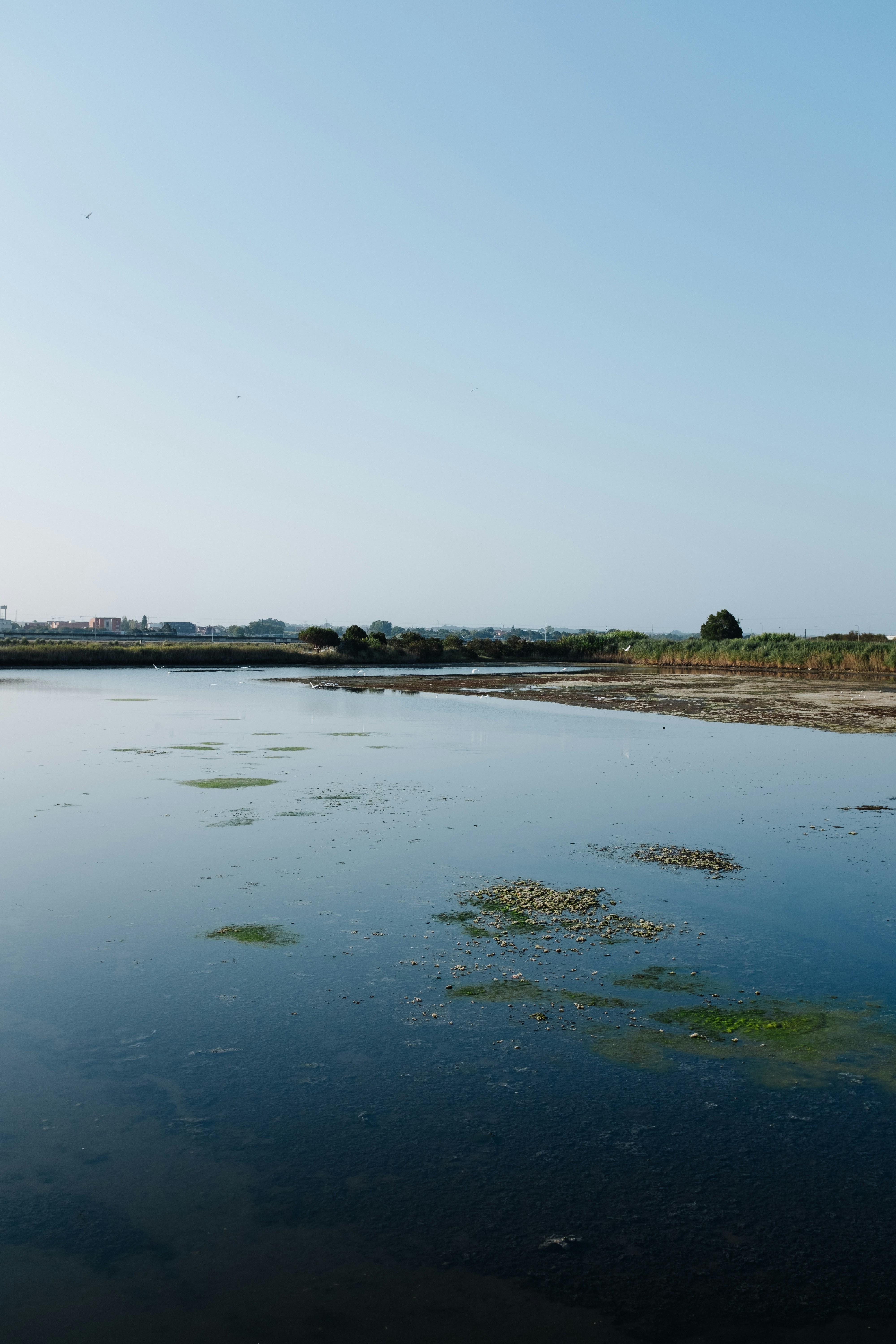 A large body of water surrounded by land photo – Free Aveiro Image on ...