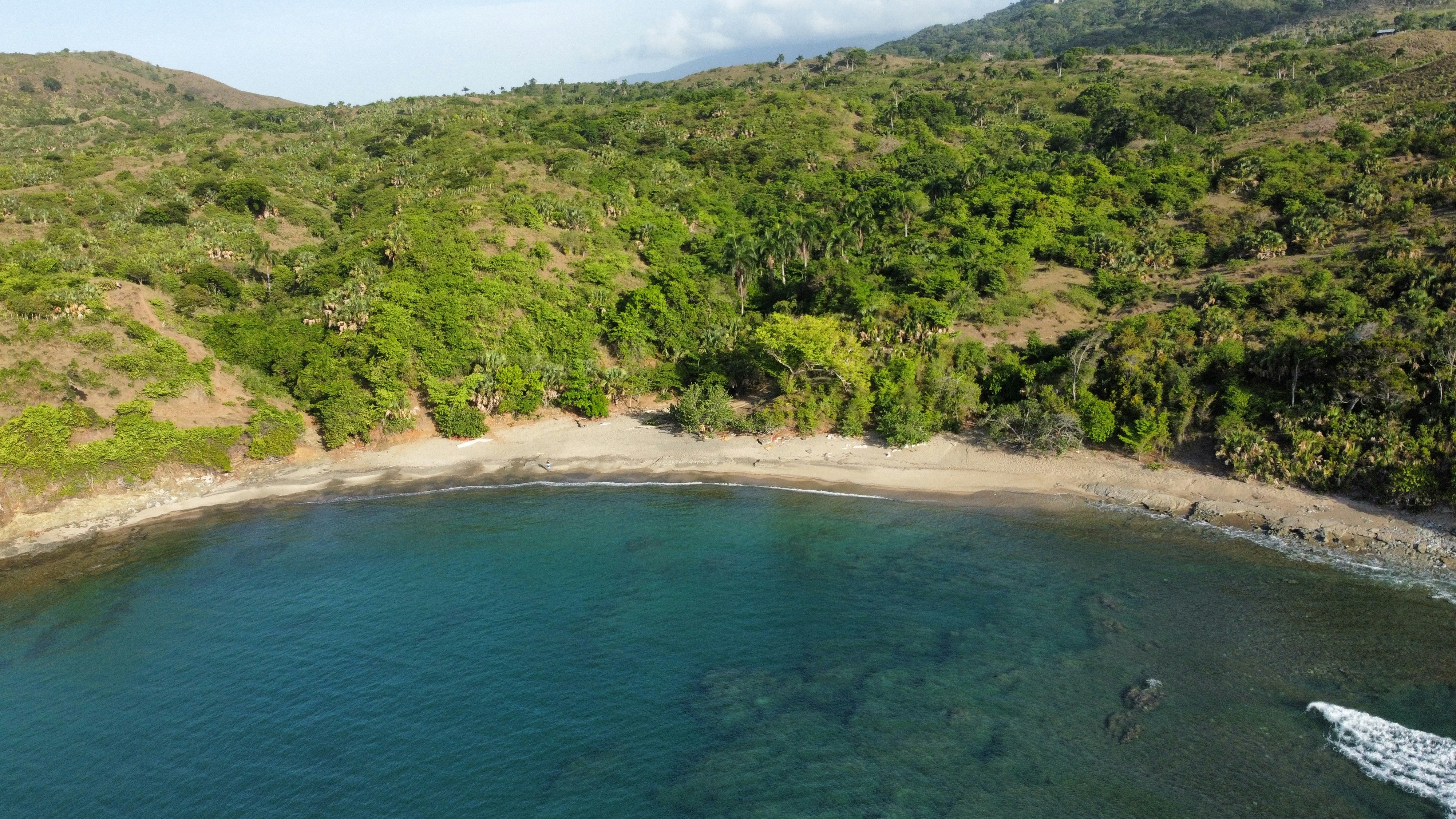 An aerial view of a beach surrounded by trees photo – Free Maimon Image ...