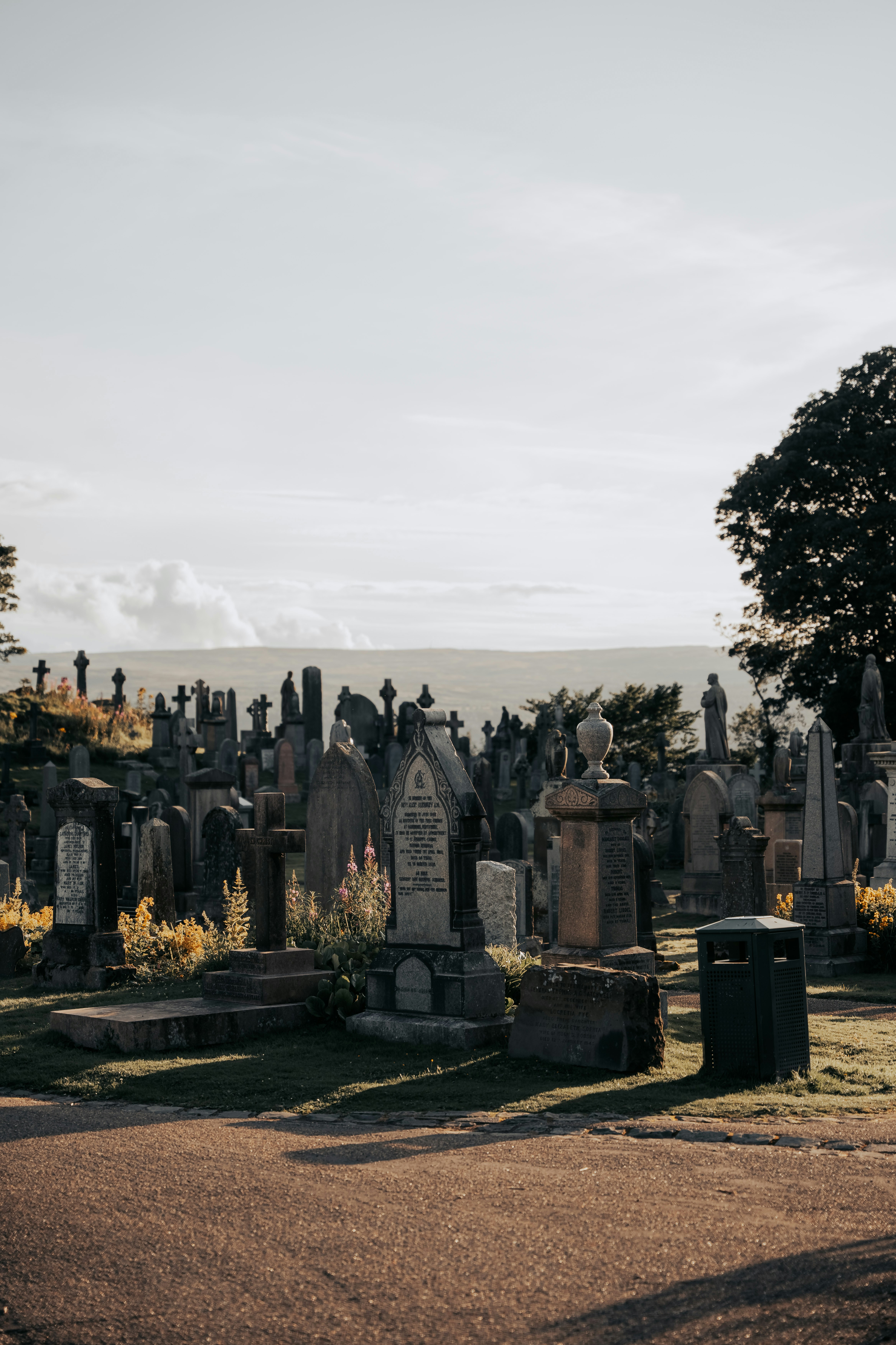 A cemetery with many headstones and trees photo – Free Graveyard Image ...